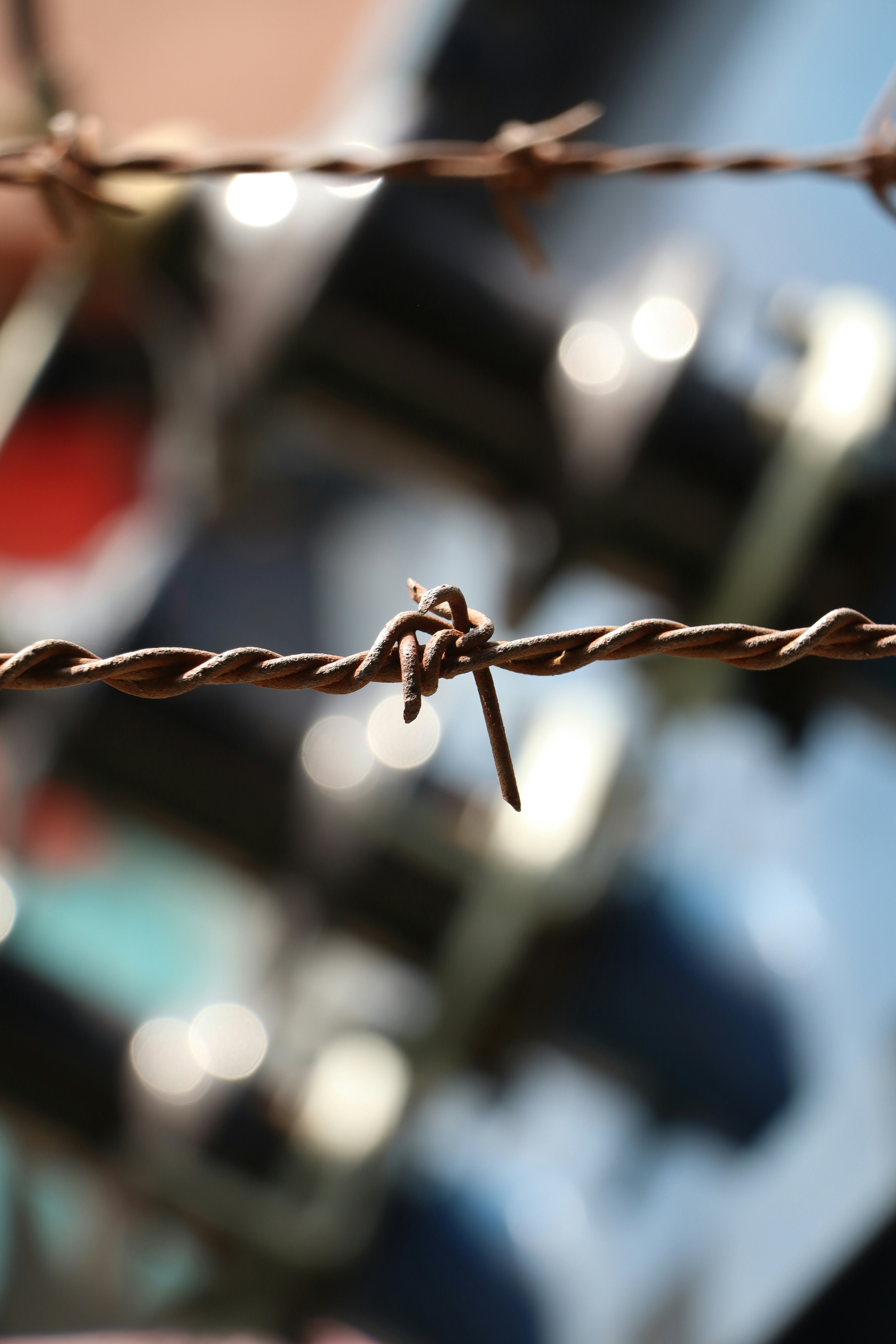 Barbed Thread in Focus: A Frayed Moment of Steel Against a Blur of Life