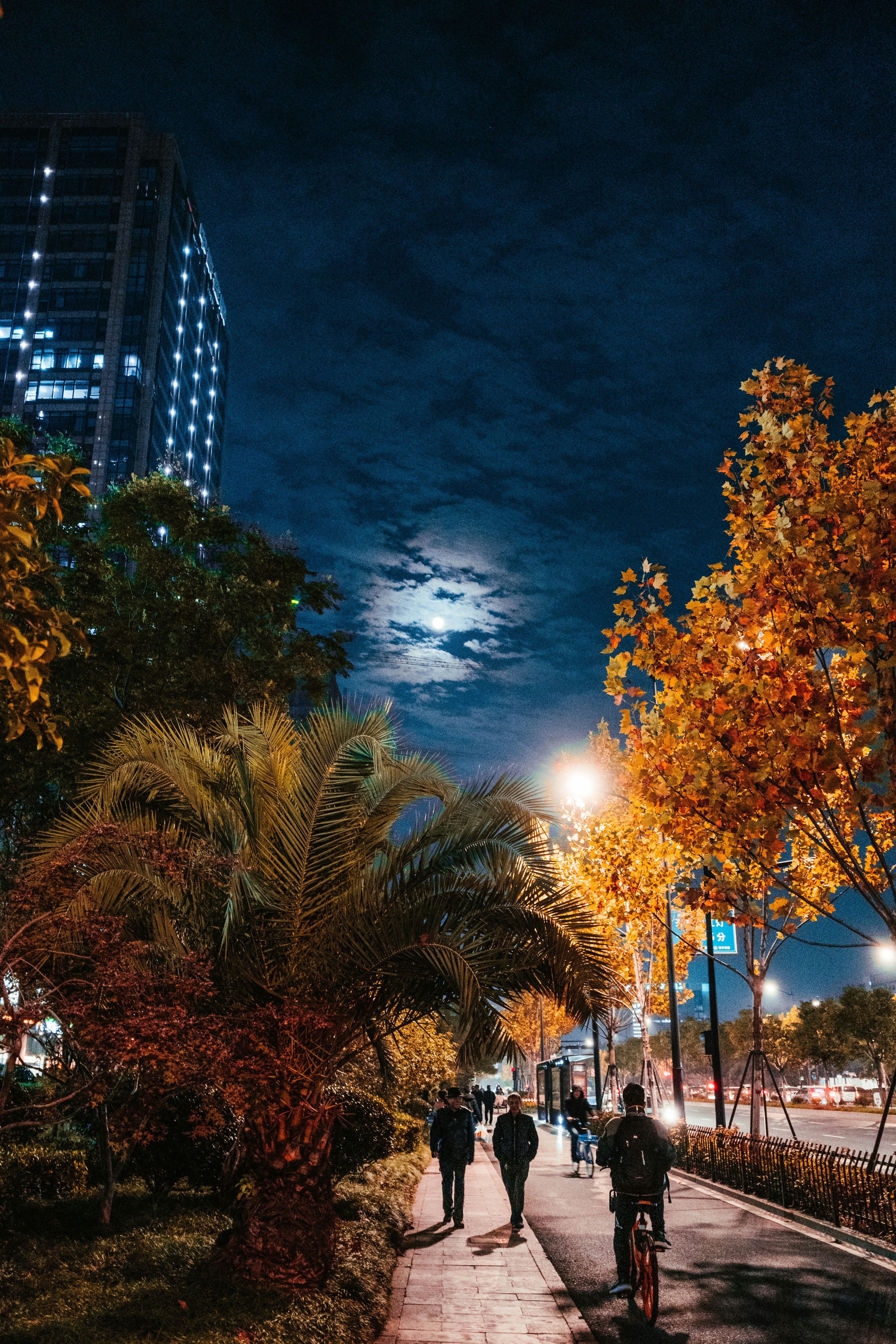 Moonlit Pulse: Pedestrians and Cyclist on a Palm-Lined Night Street