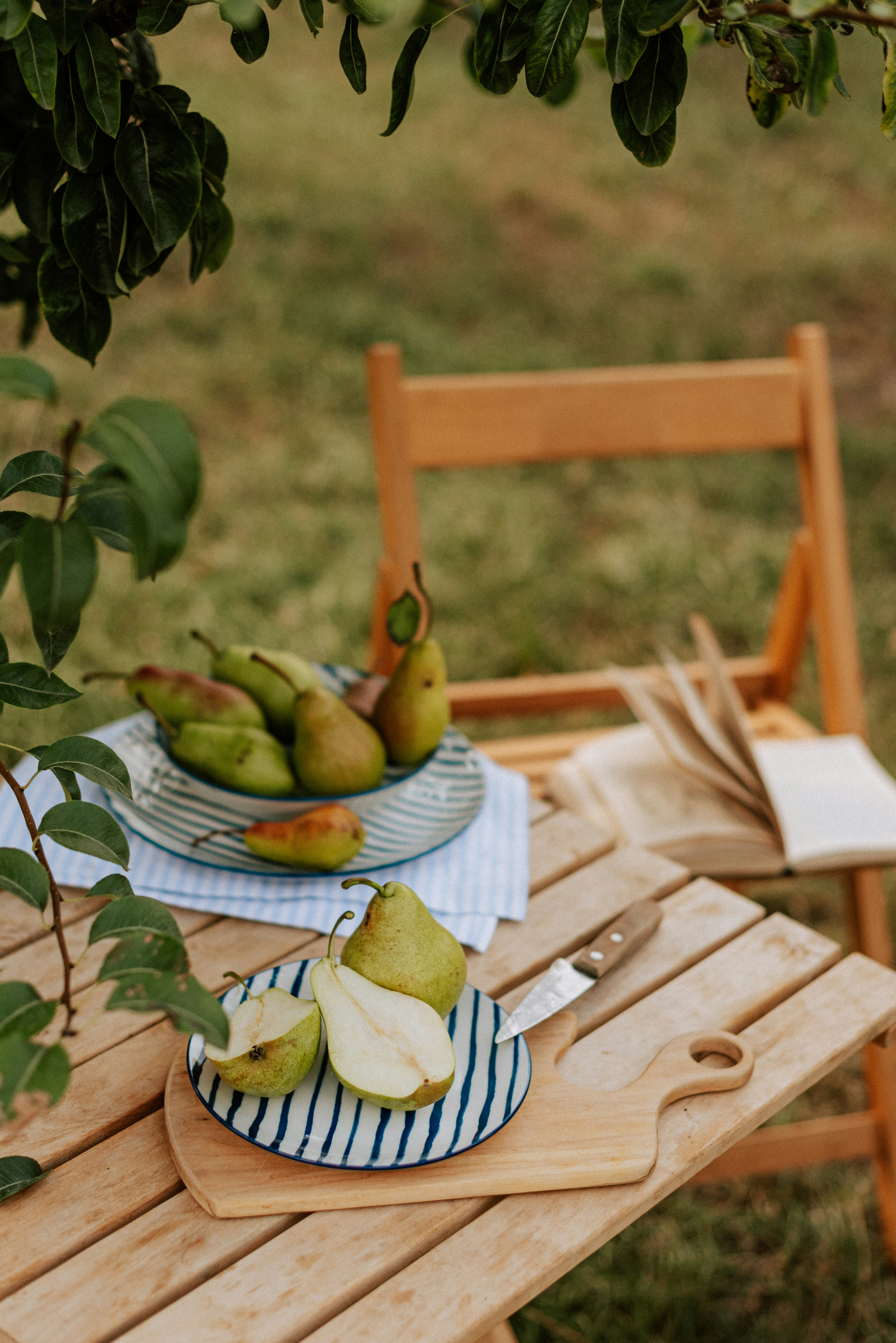 A wooden table topped with plates of pears photo – Free Food Image on ...