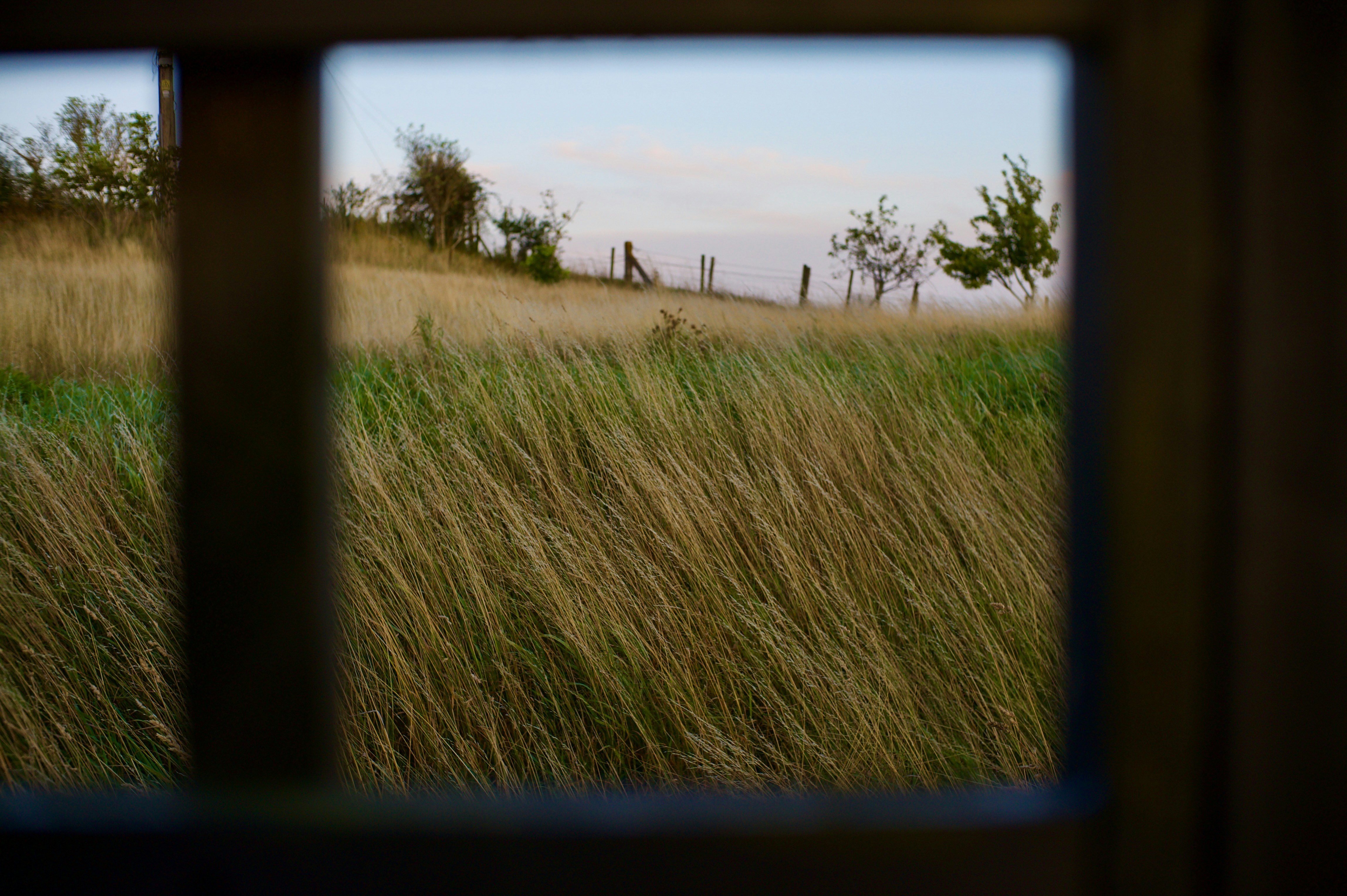 A window with a view of a grassy field photo – Free Land Image on Unsplash