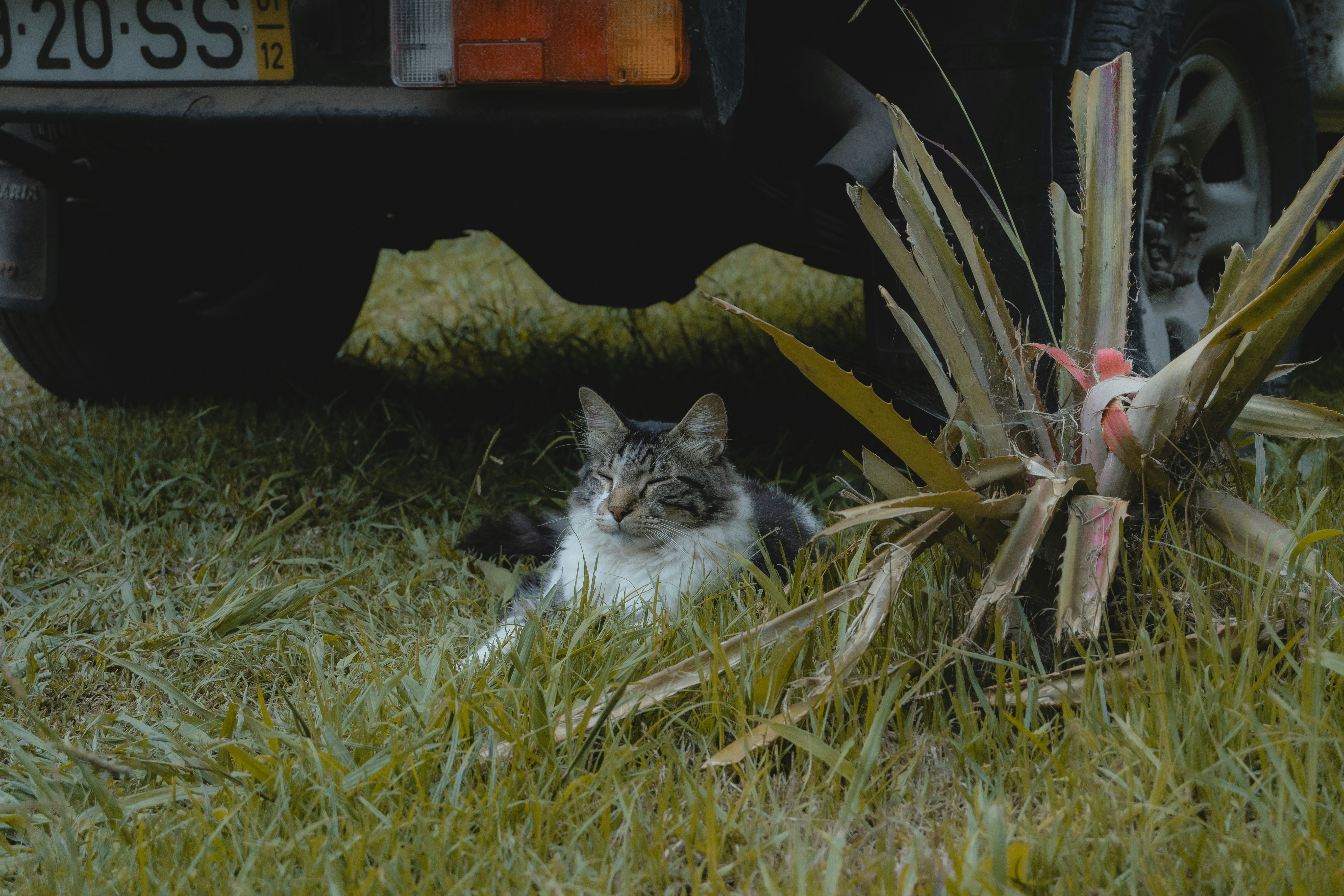 Photo by Aitziber Ruiz de Eguino with Nikon Z50