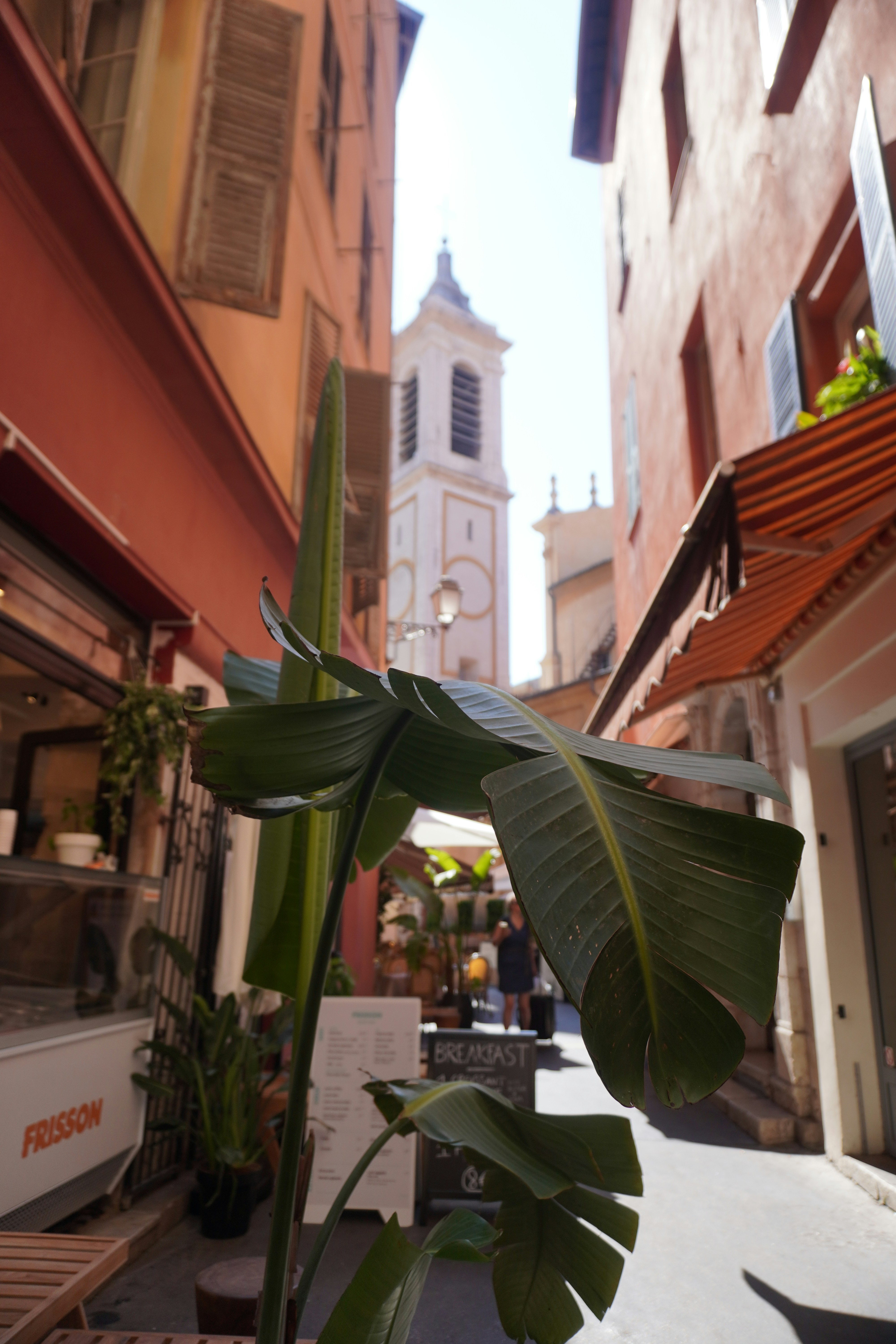 Leaf-Screened Alley Leading to a Clock-Tower Vista