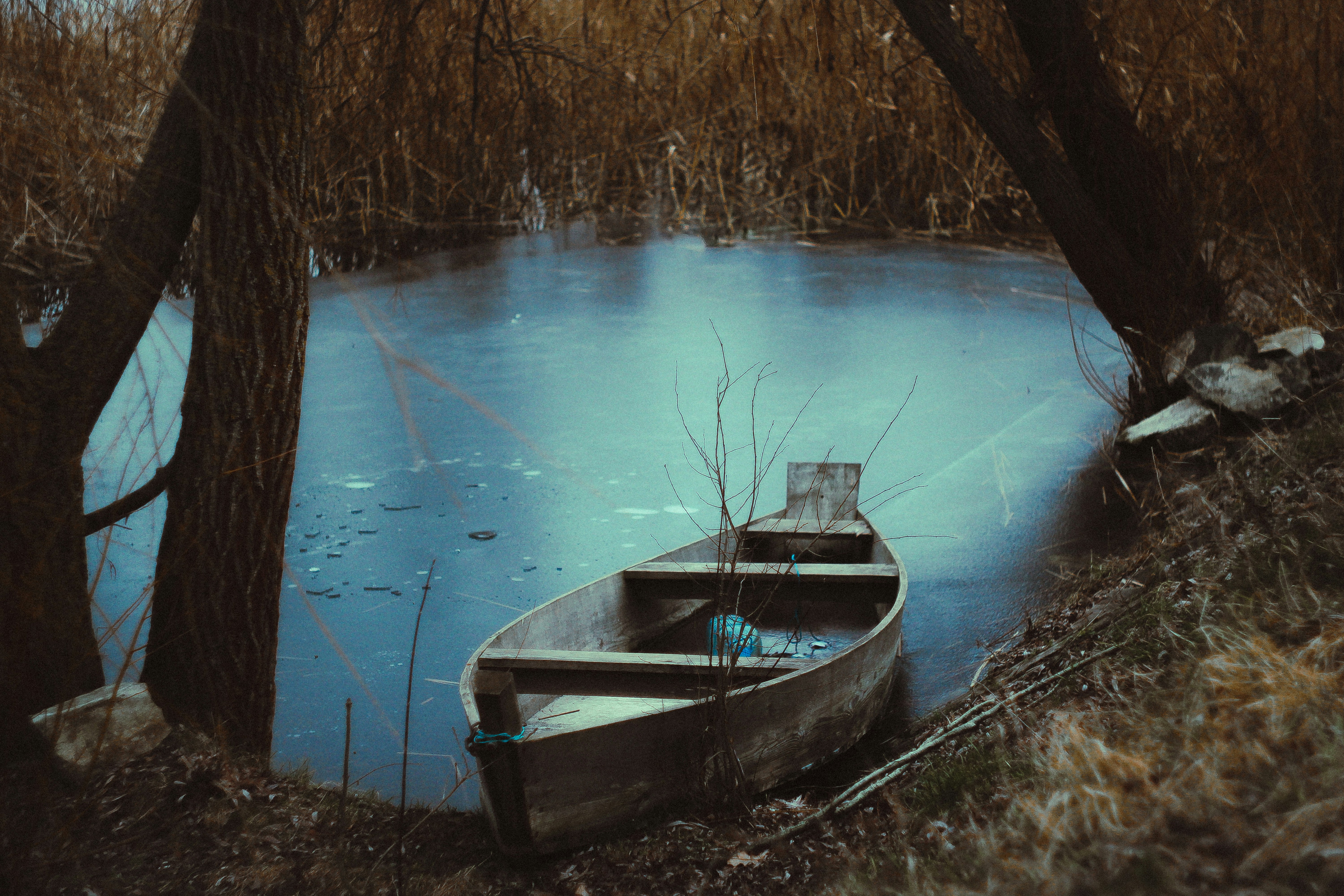 A boat sitting on top of a lake next to a forest photo – Free Land ...