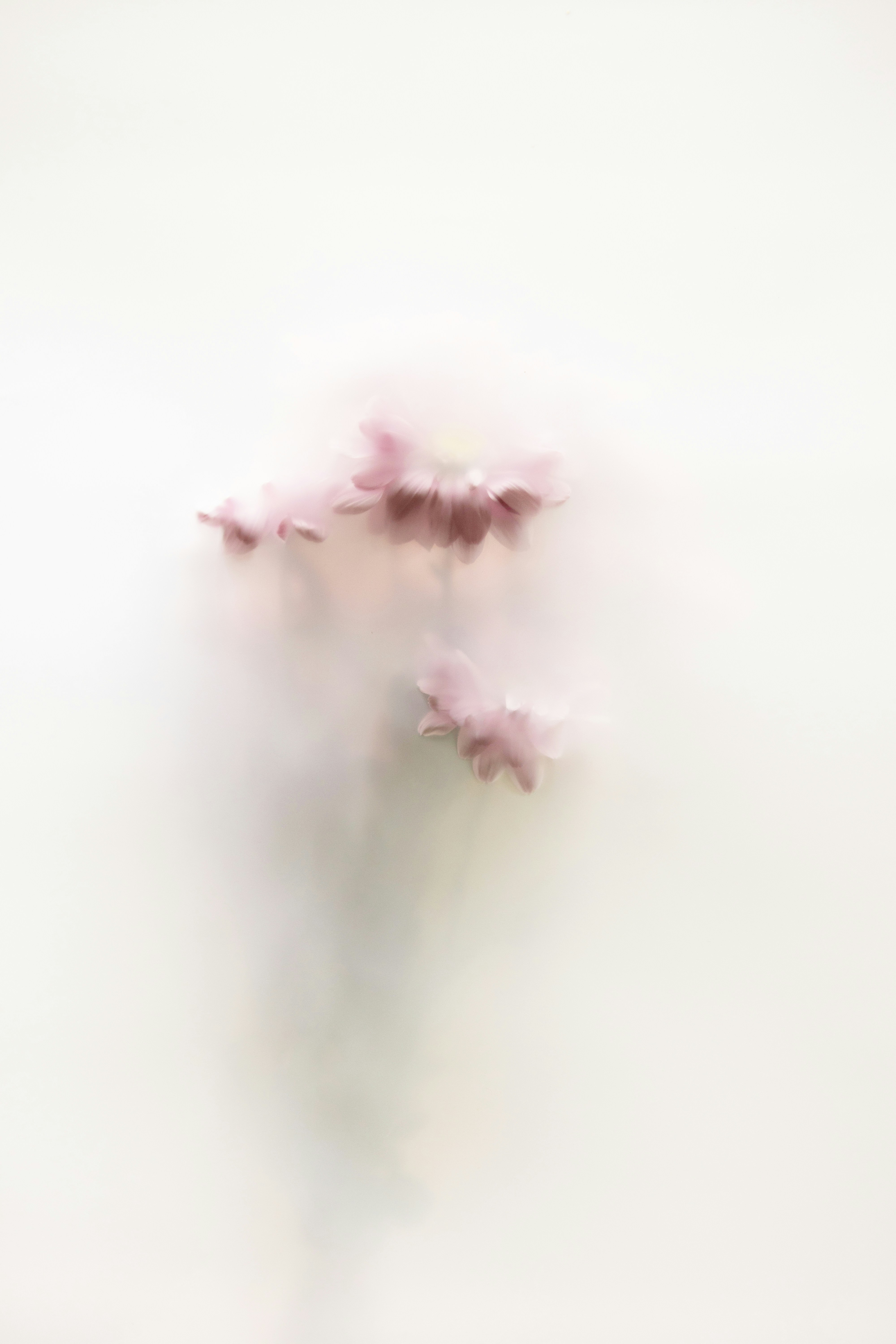 Diffuse Pictures | Download Free Images on Unsplash