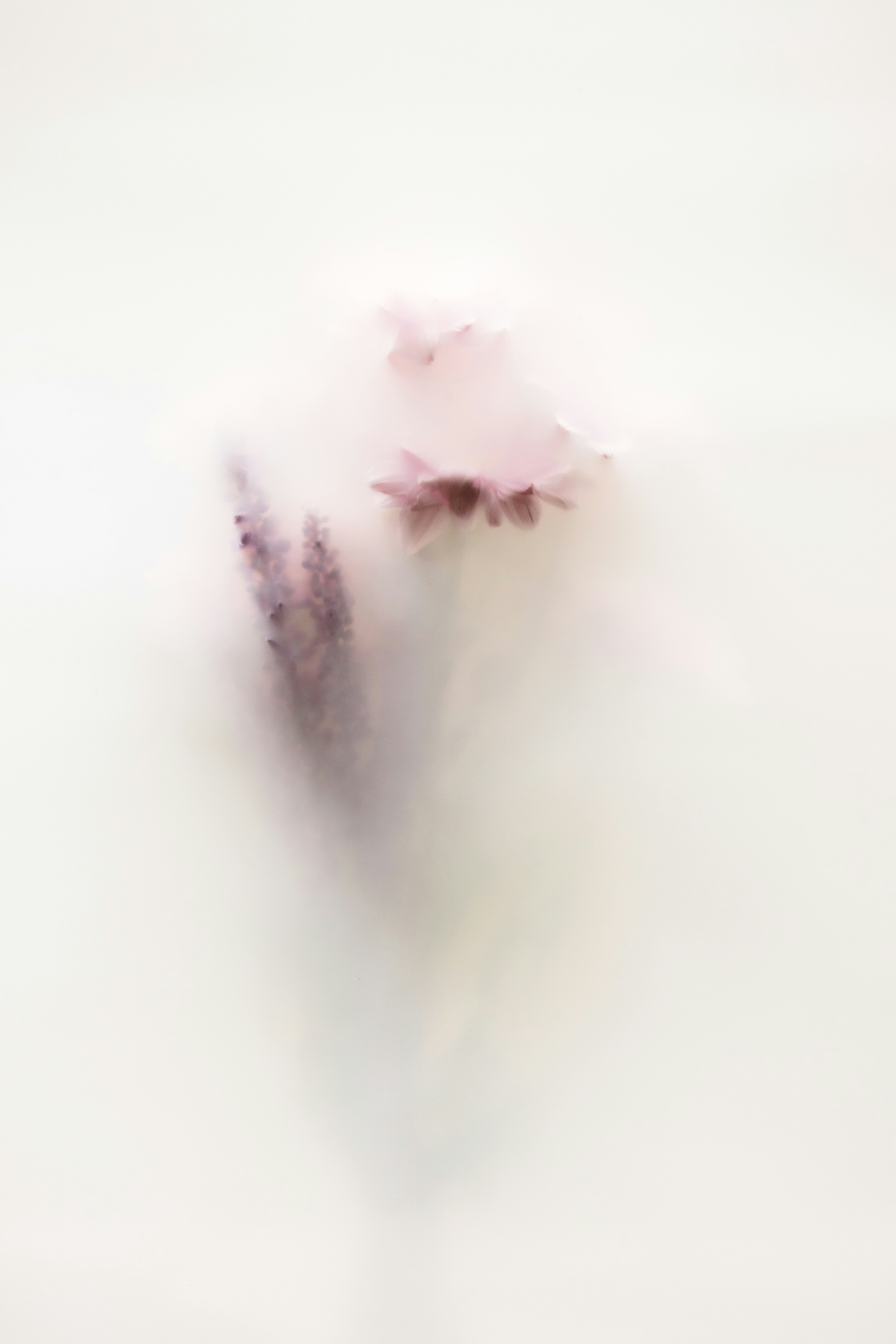 Diffuse Pictures | Download Free Images on Unsplash