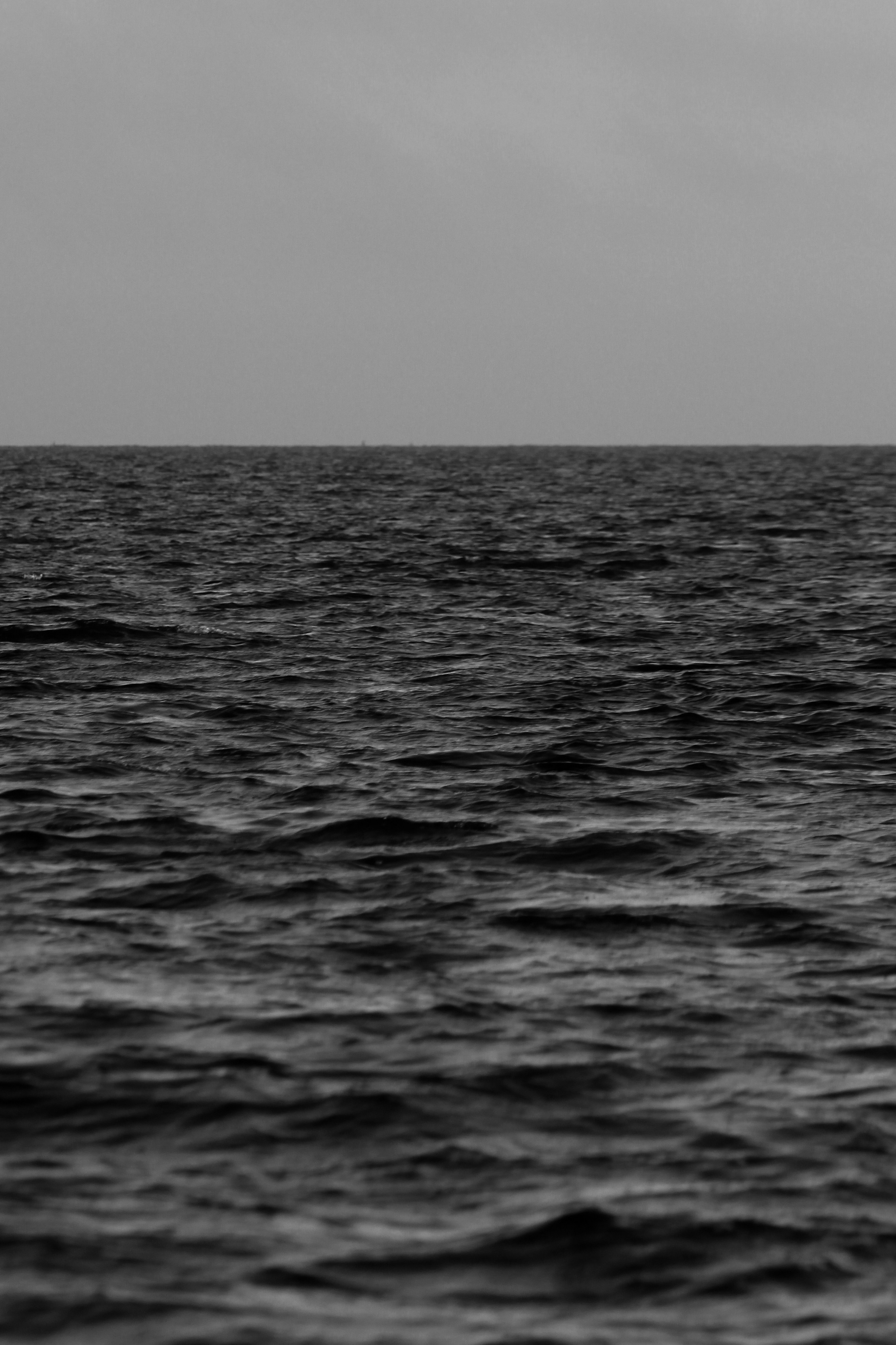 Photo by Charly Seyler with Canon EOS 1200D