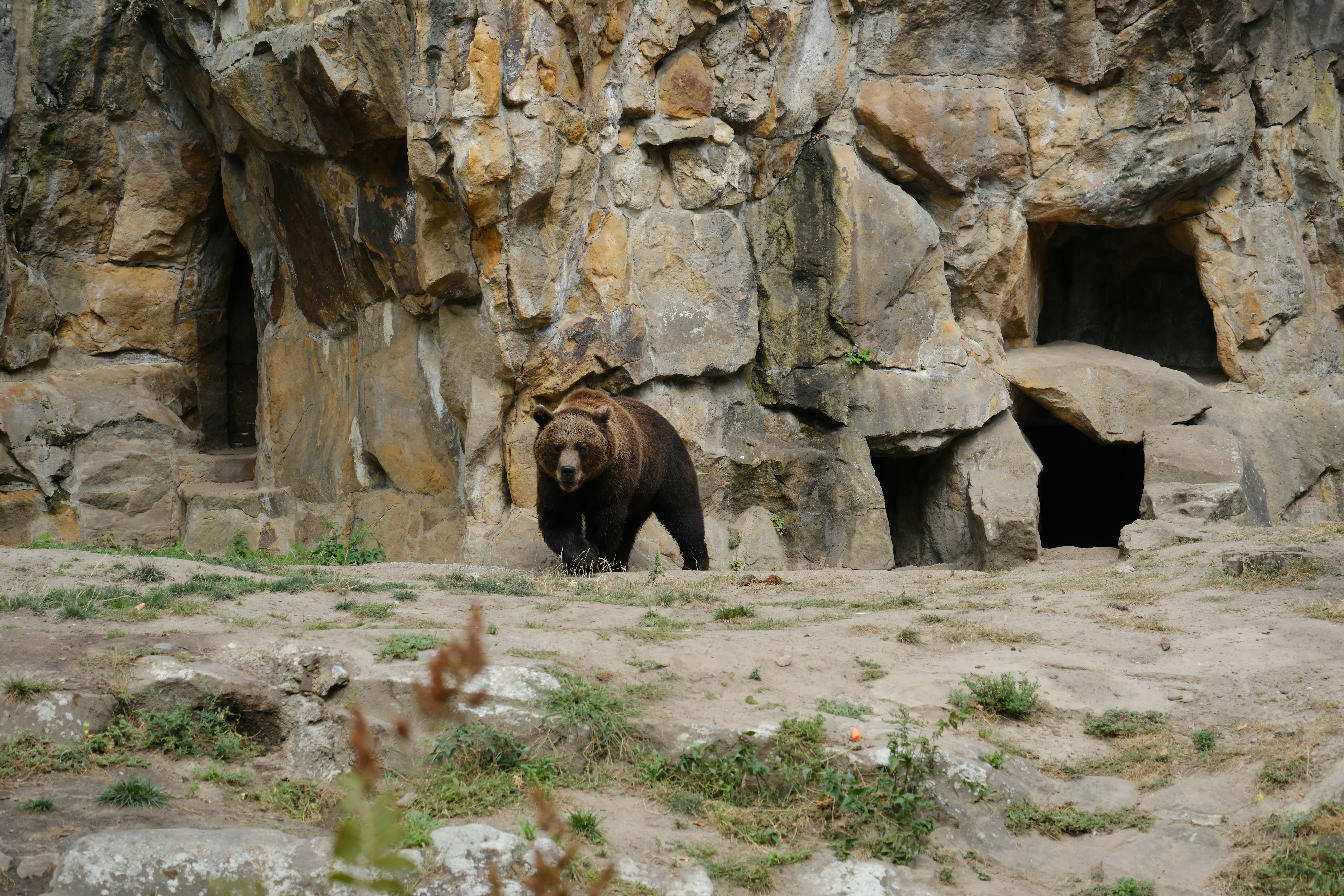 Photo by selcuk sarikoz with Fujifilm X-T5