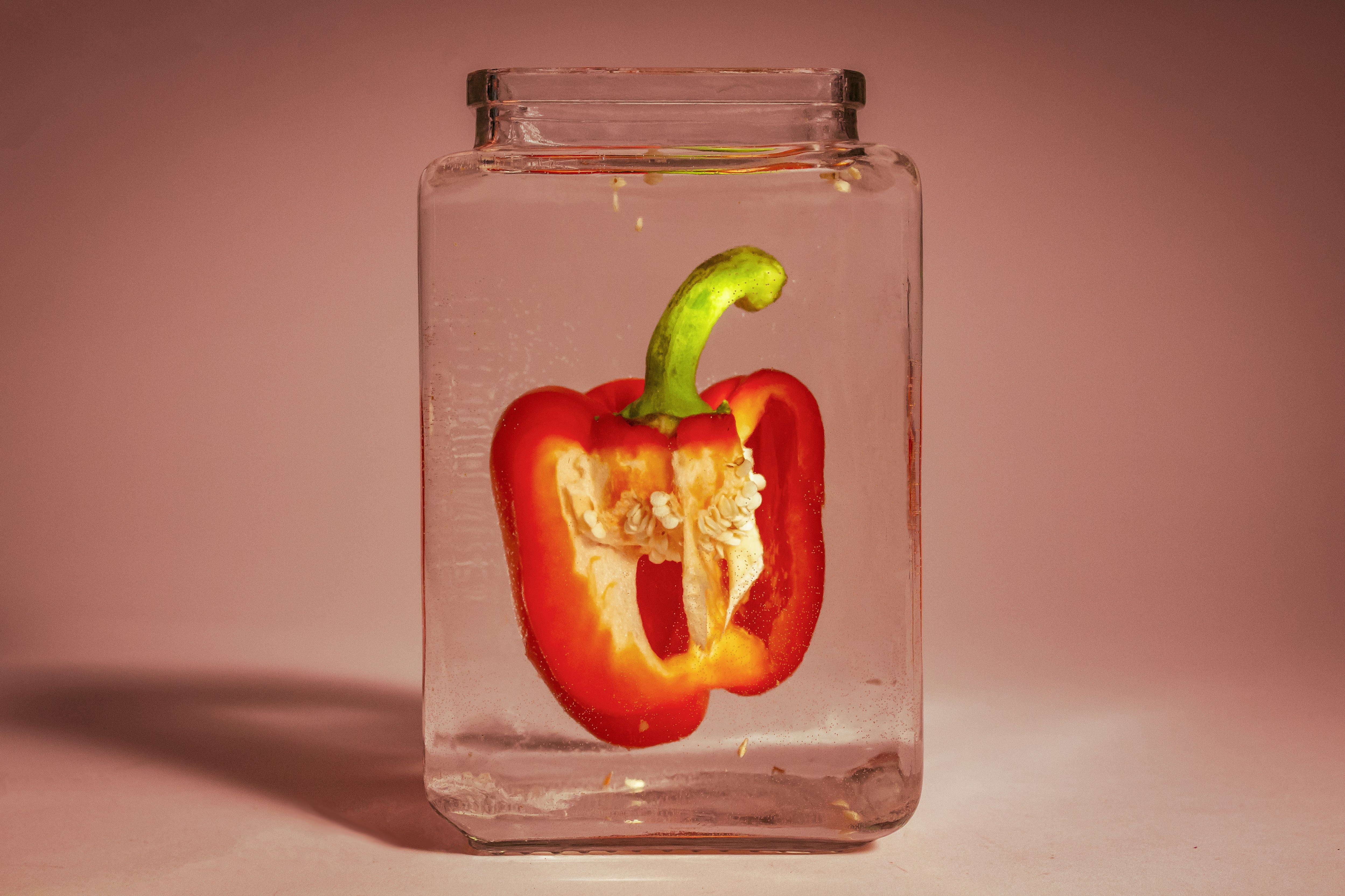 Photo by Brianna Lengacher with Canon EOS 1200D