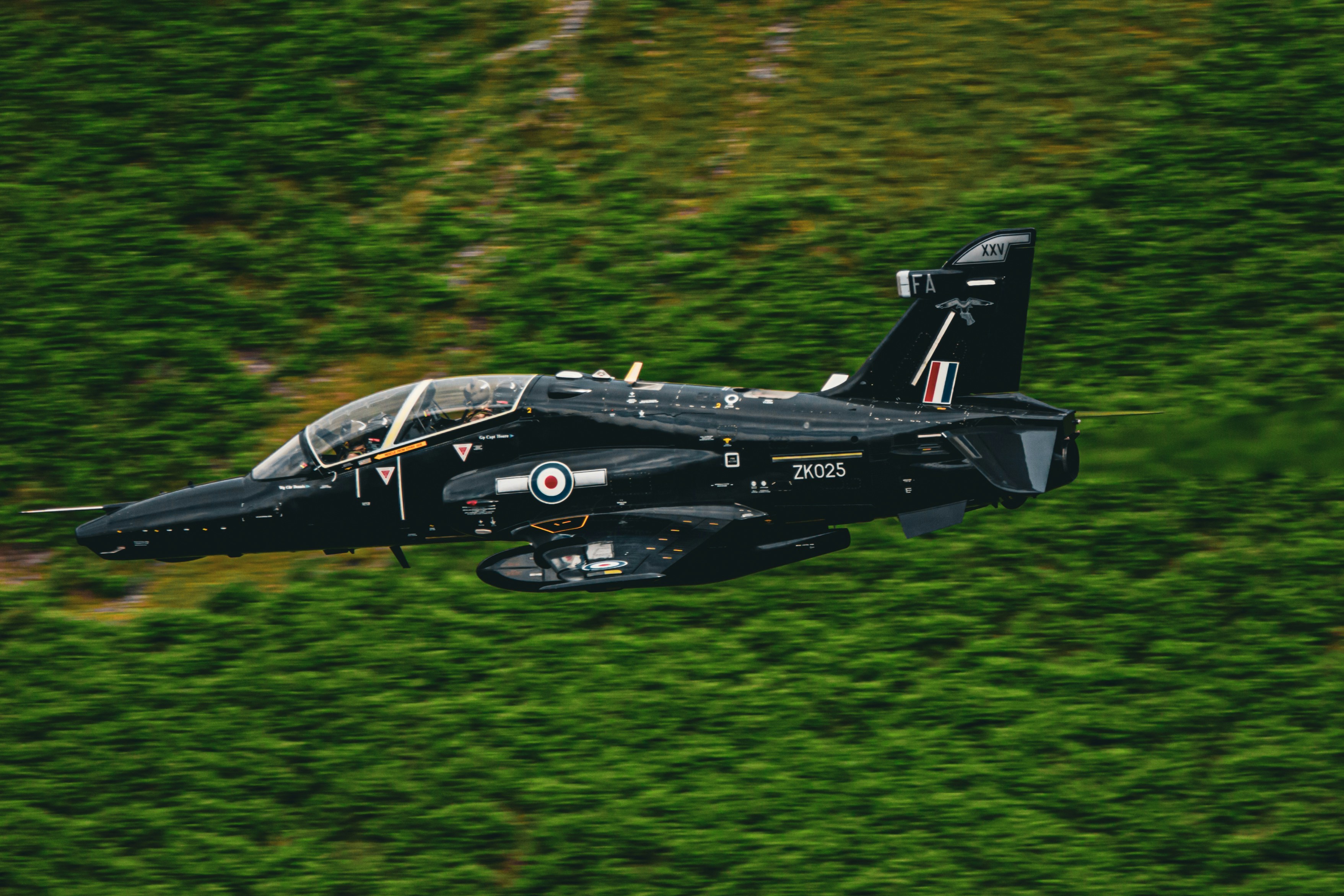 A fighter jet flying over a lush green forest photo – Free Aircraft ...