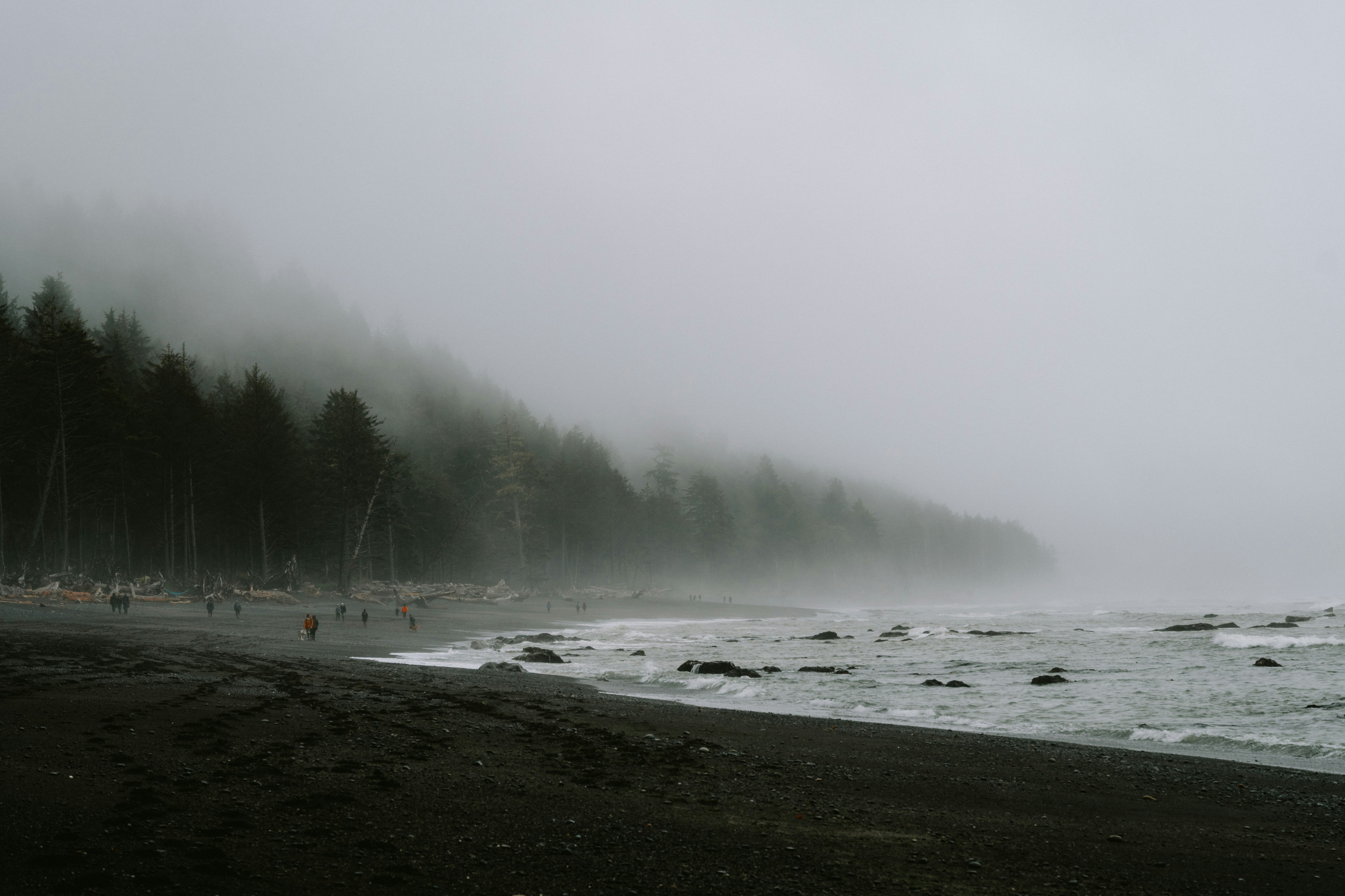 A foggy day at the beach with people in the water photo – Free Nature ...