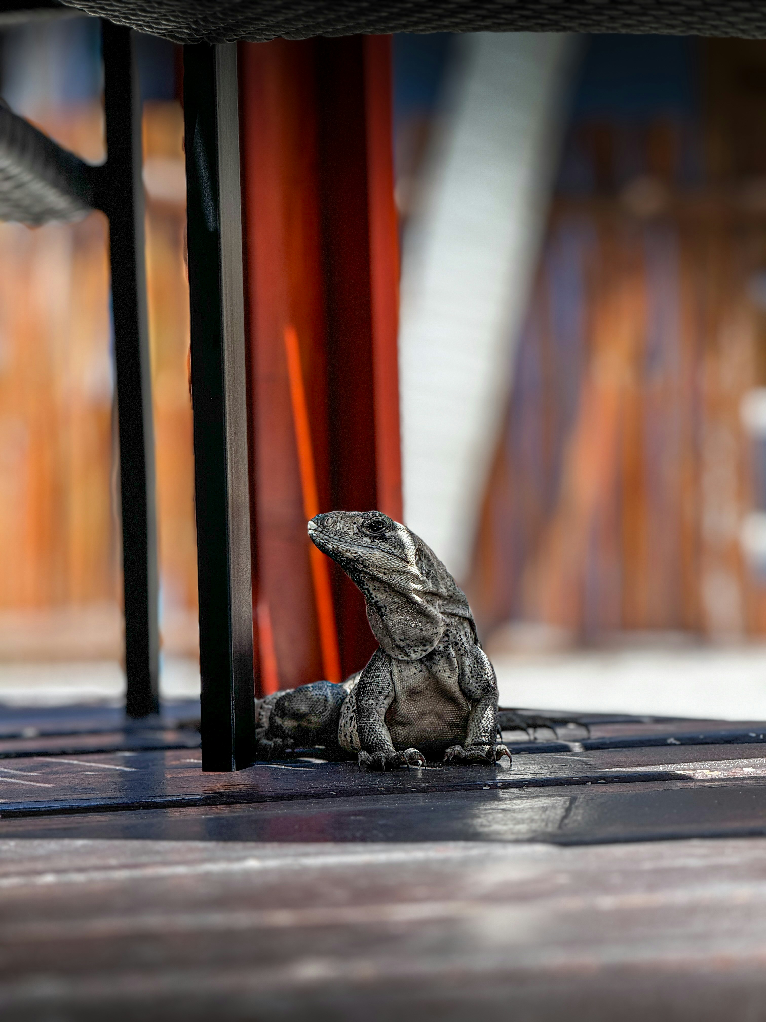 Kameron Kincade (@kkincade) | Unsplash Photo Community