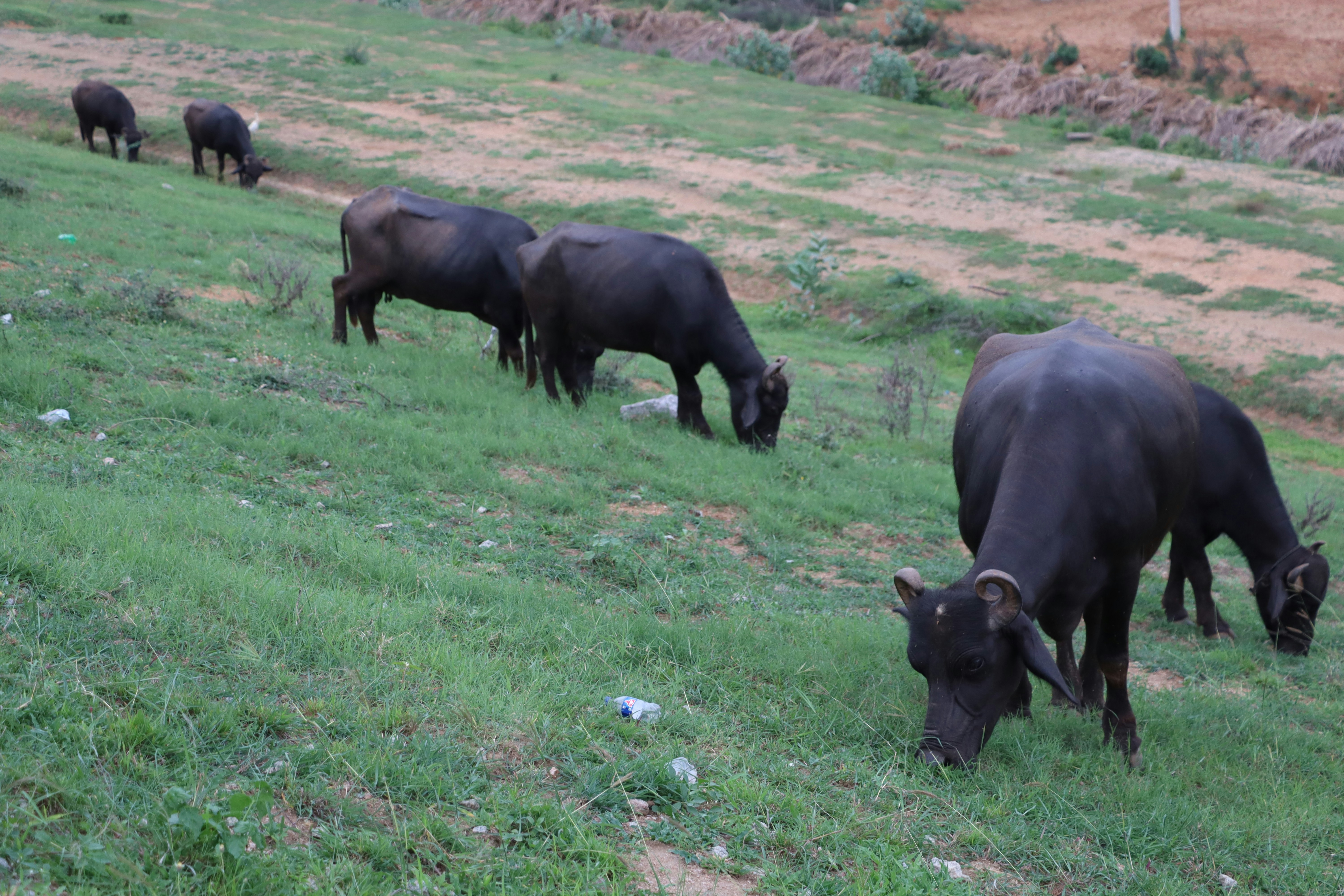 Photo by Aditya Sethia with Canon EOS M50 Mark II