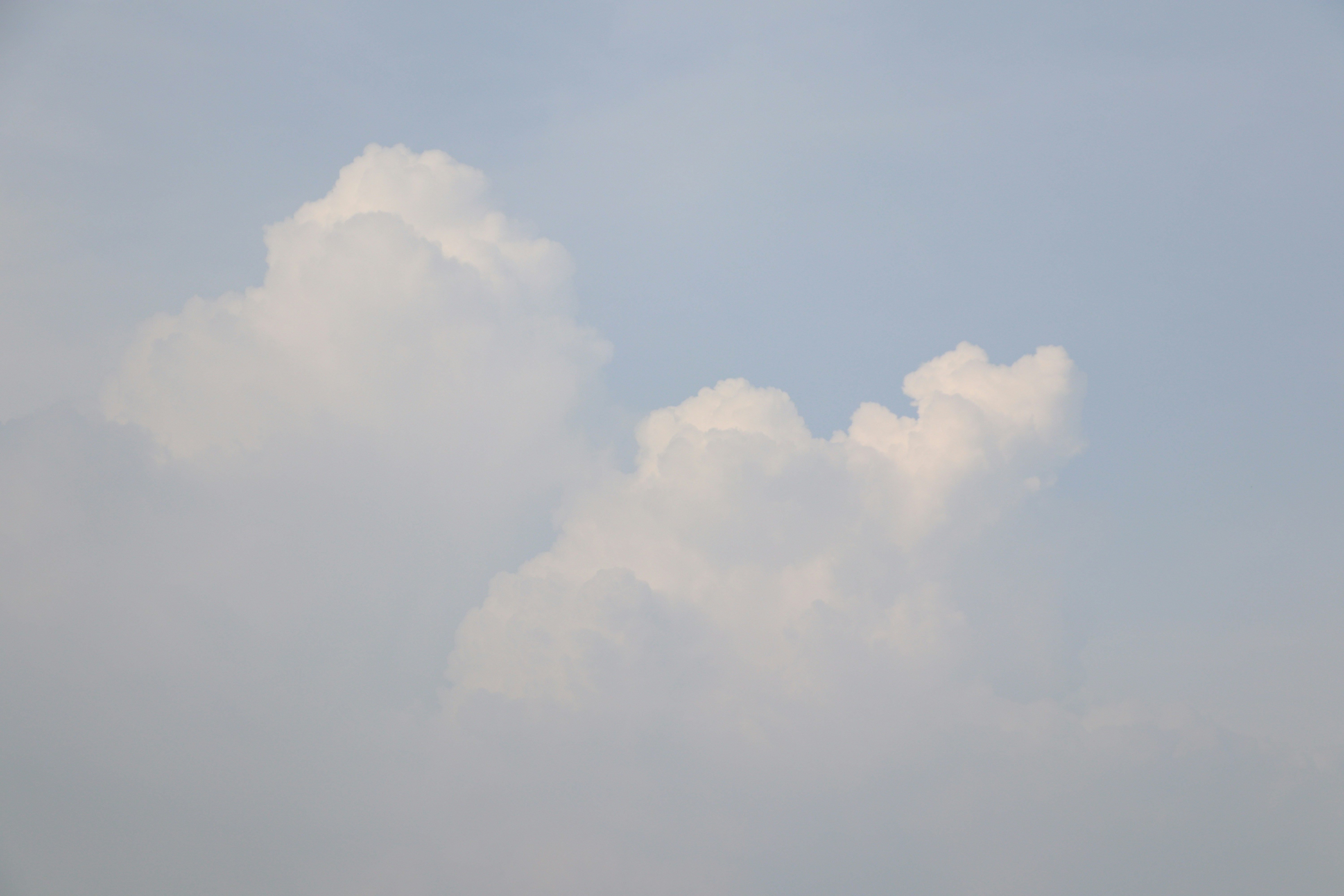 Photo by Aditya Sethia with Canon EOS M50 Mark II