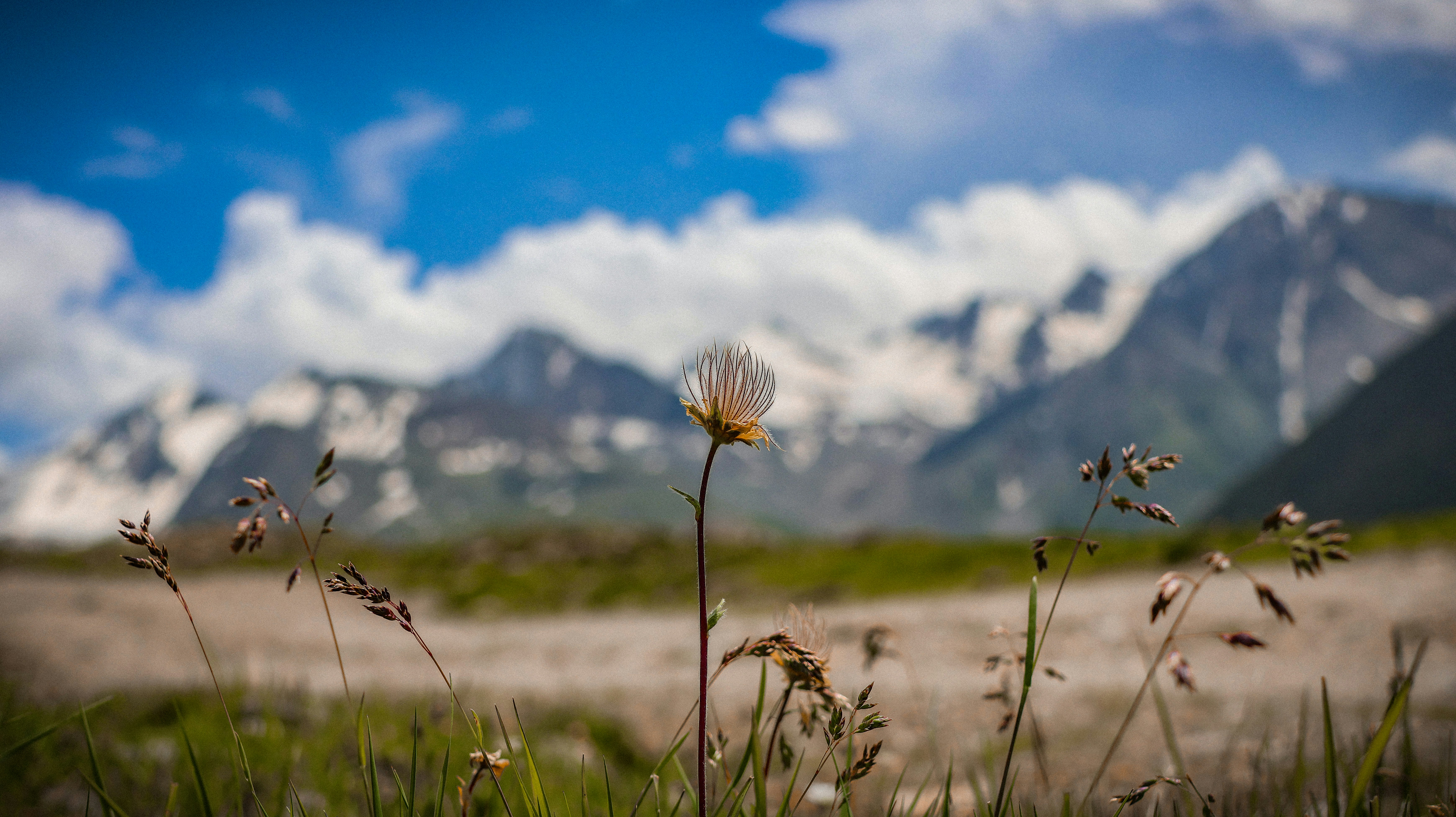 Photo by Tim D with Canon EOS R7