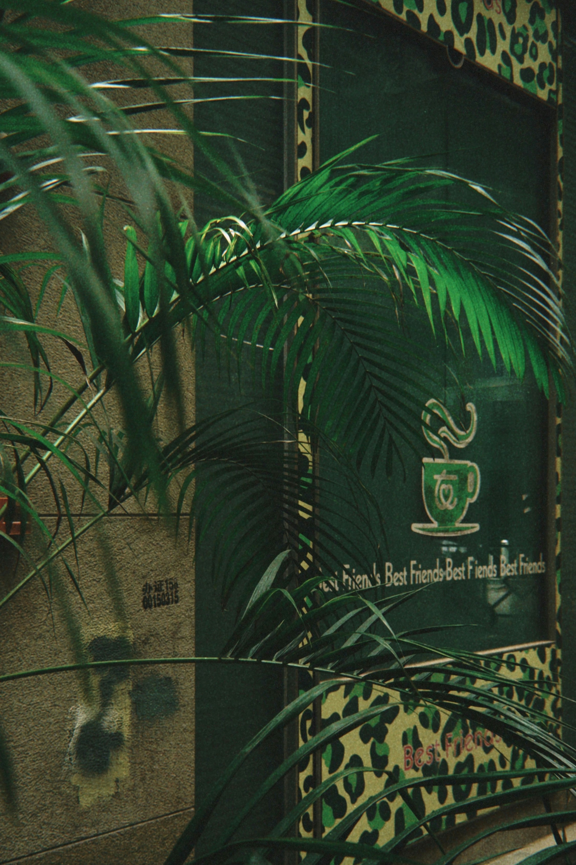 Leopard-Trim Café Window Peeking Through Tropical Fronds