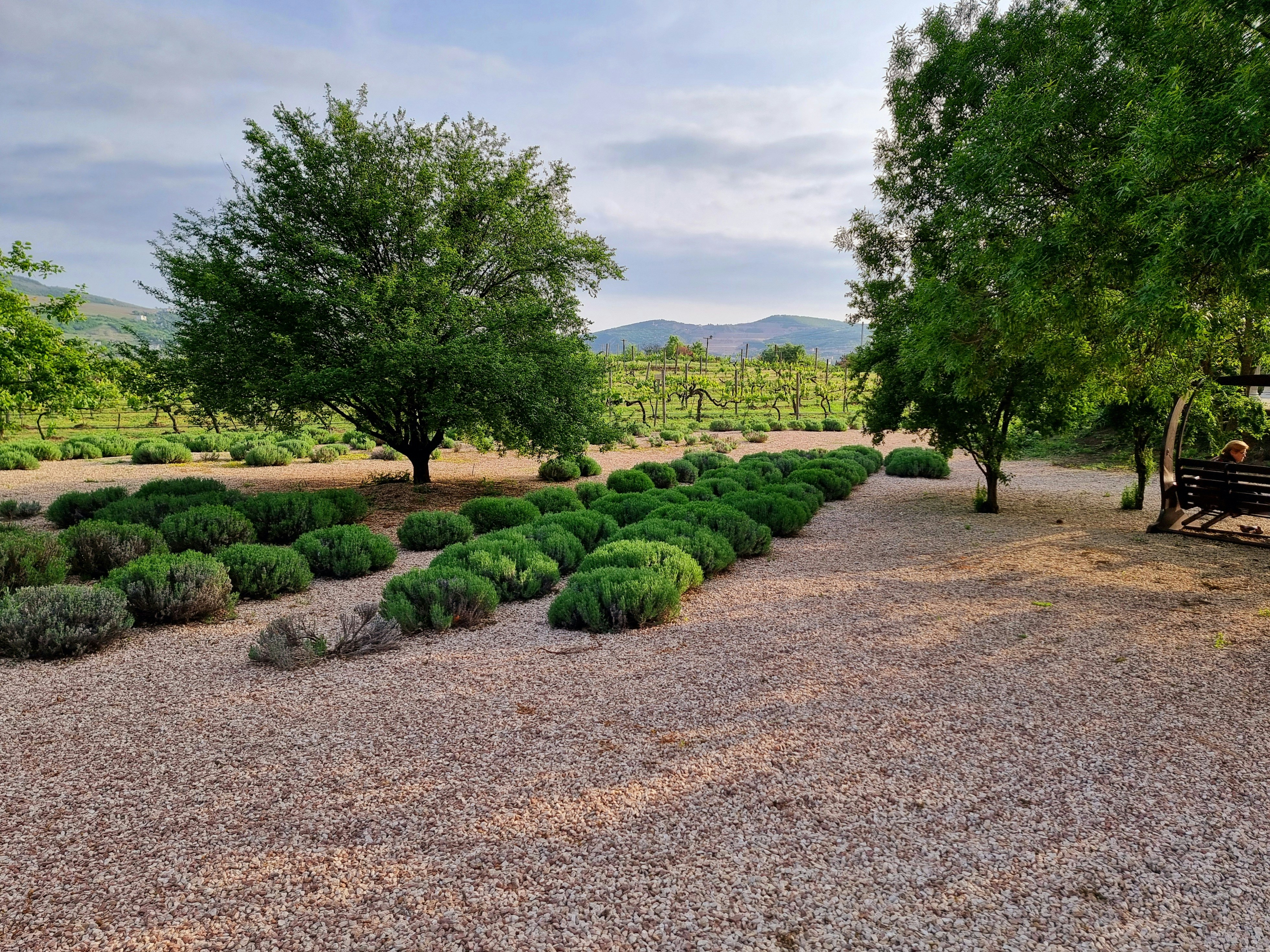 Converging Curves: A Pruned Garden Path Toward Distant Vistas