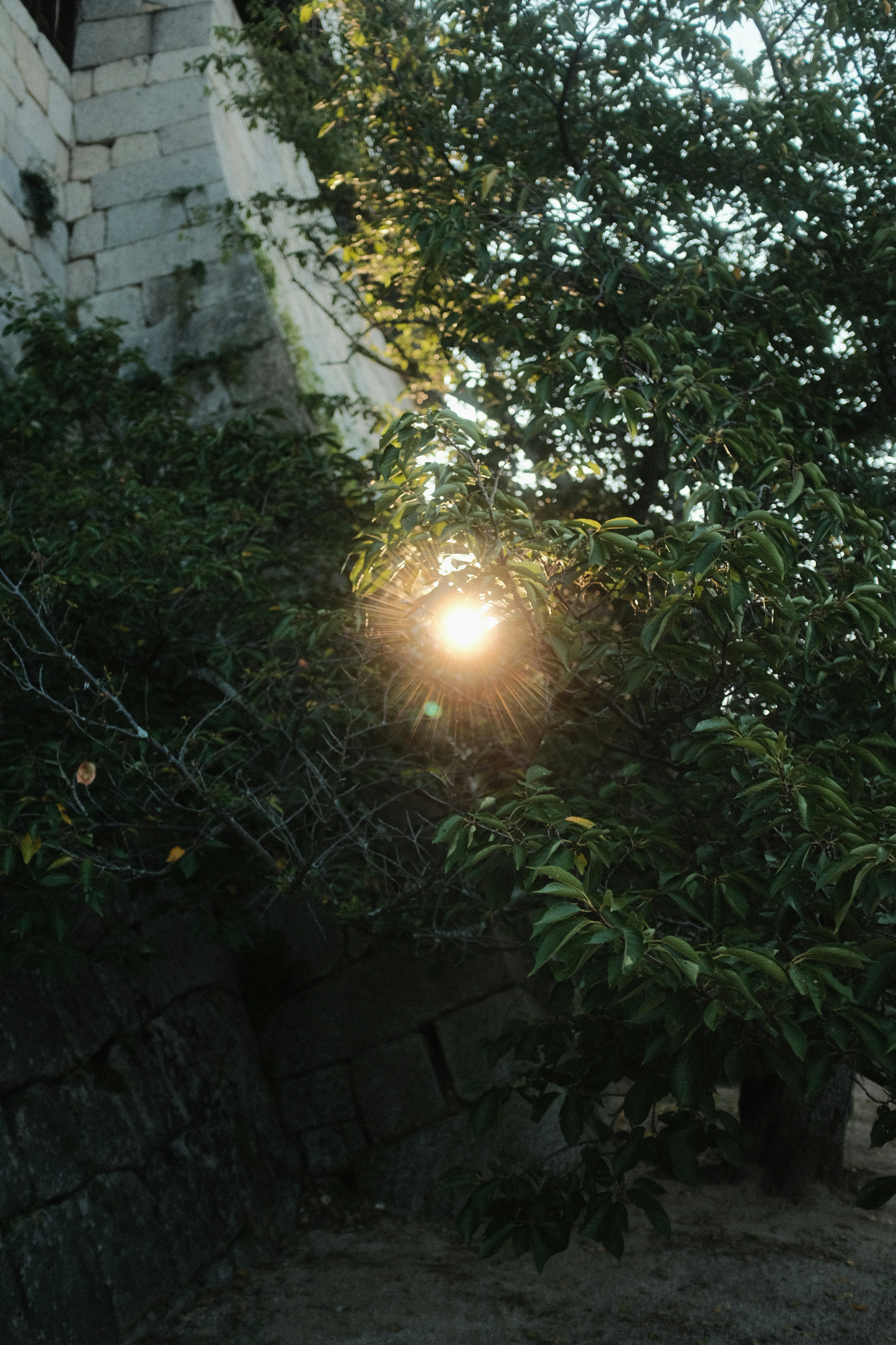 Photo by MAK with Fujifilm X100F