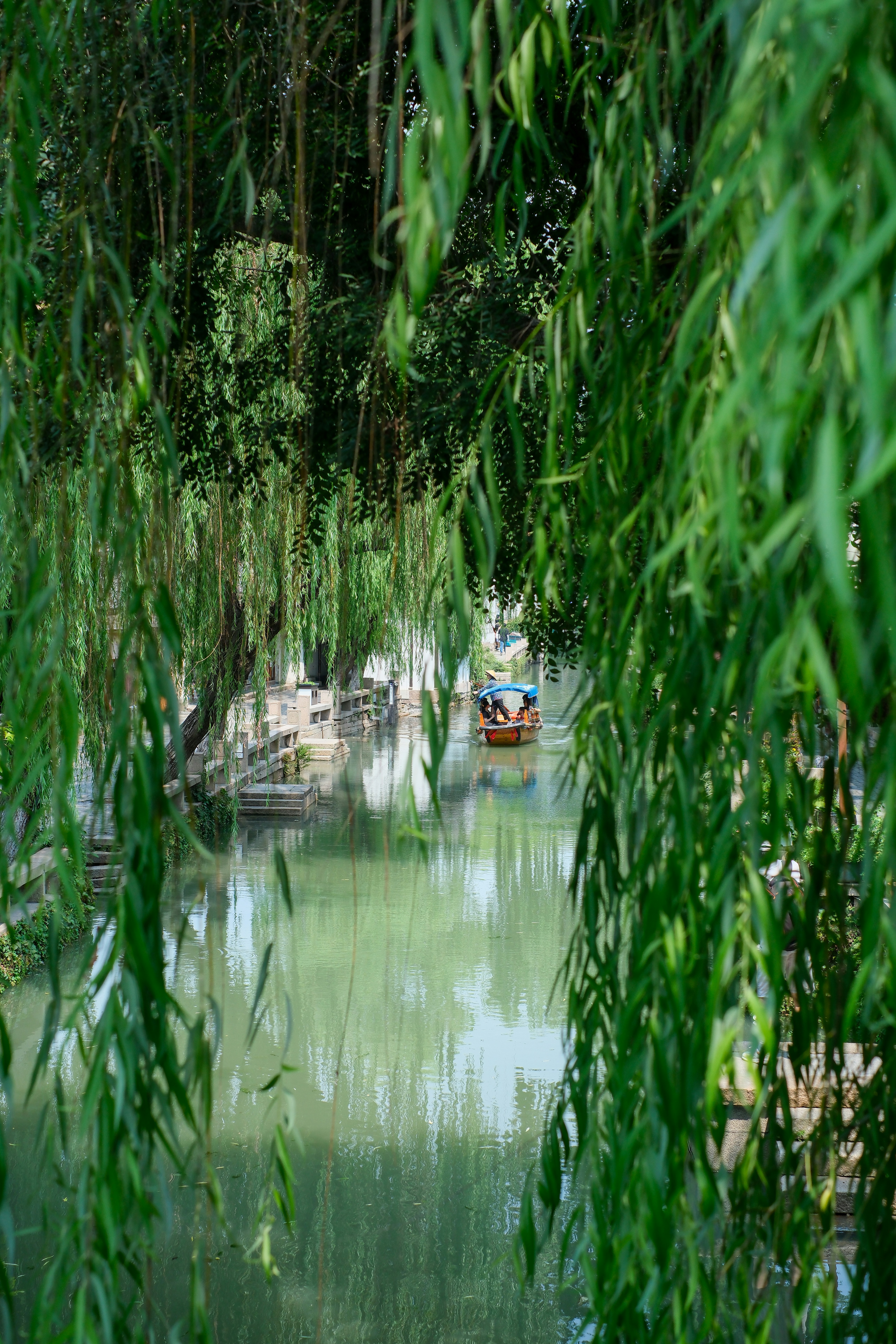 A small boat floating down a river surrounded by trees photo – Free ...