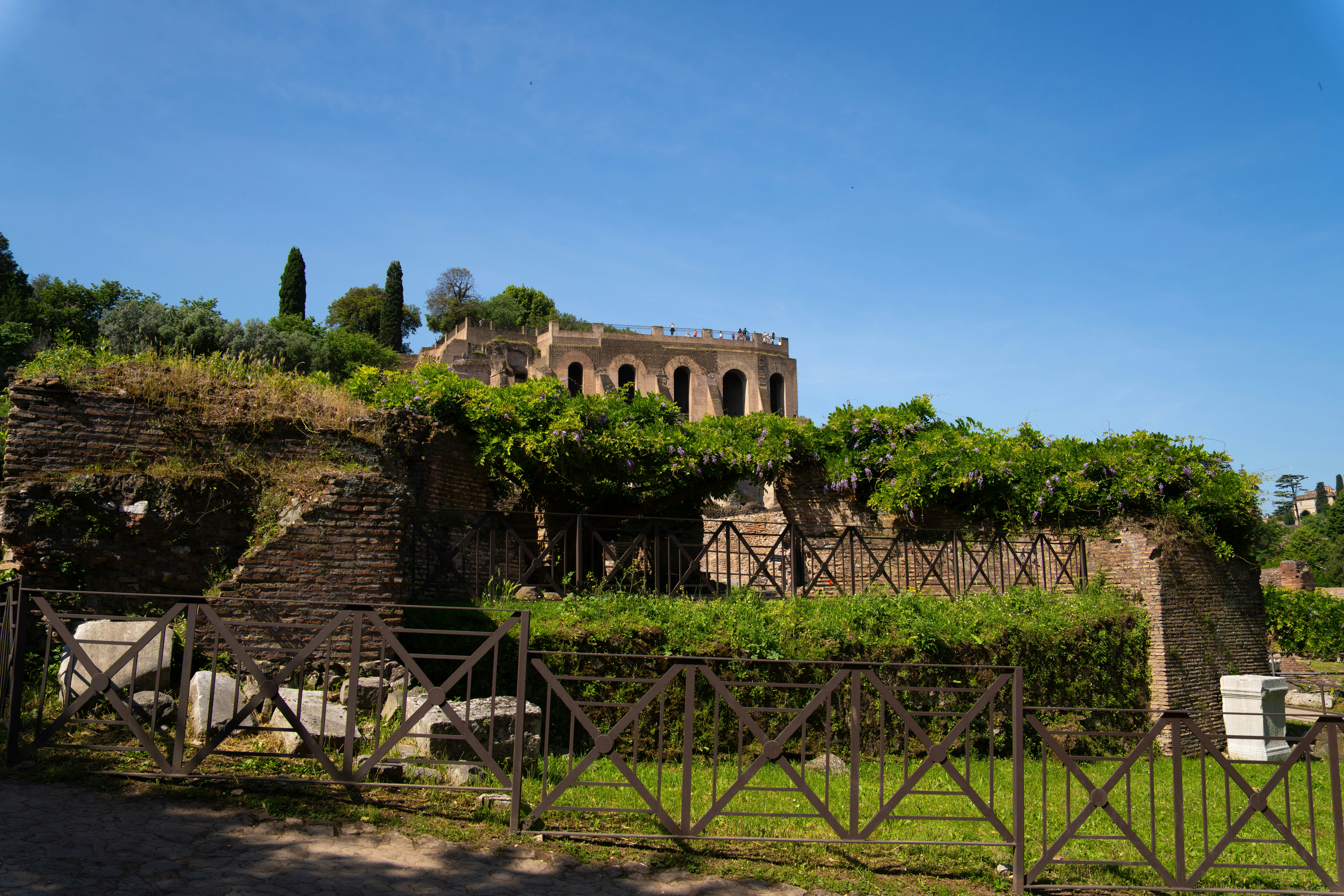 A stone building with vines growing over it photo – Free Roman forum ...