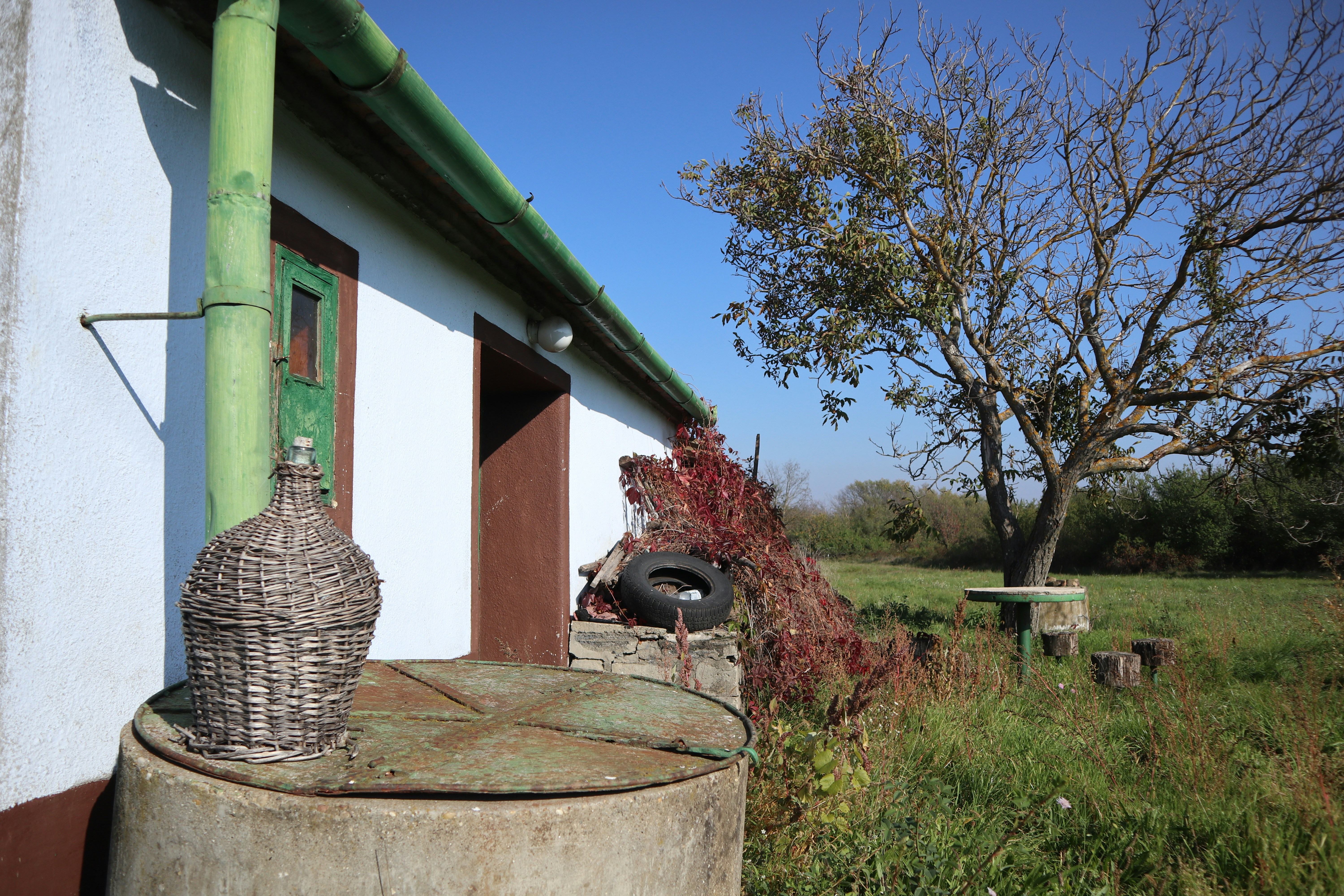 A weathered structure accompanied by a vintage wicker basket and an old tire, set against a backdrop of lush greenery and a solitary tree.