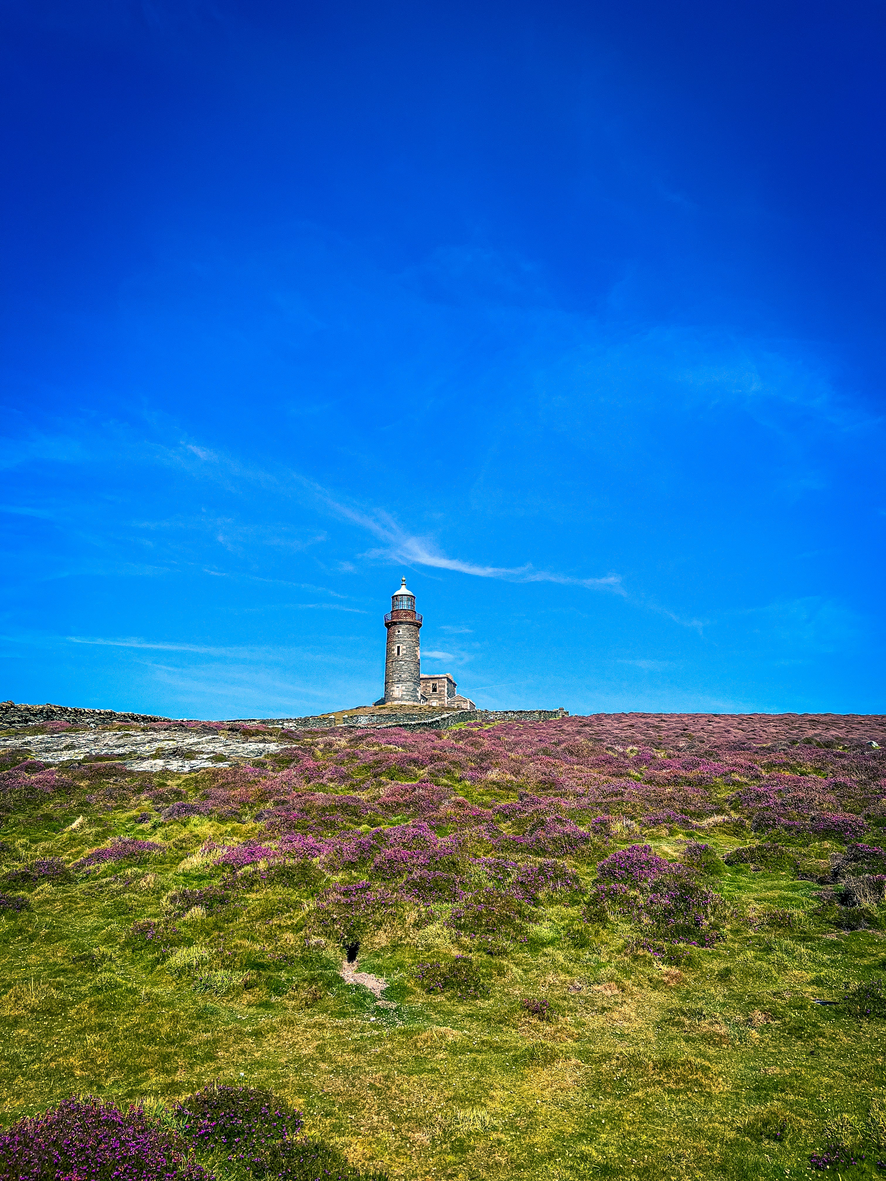 Lighthouse on the Moor: Beacon Over Purple Heather