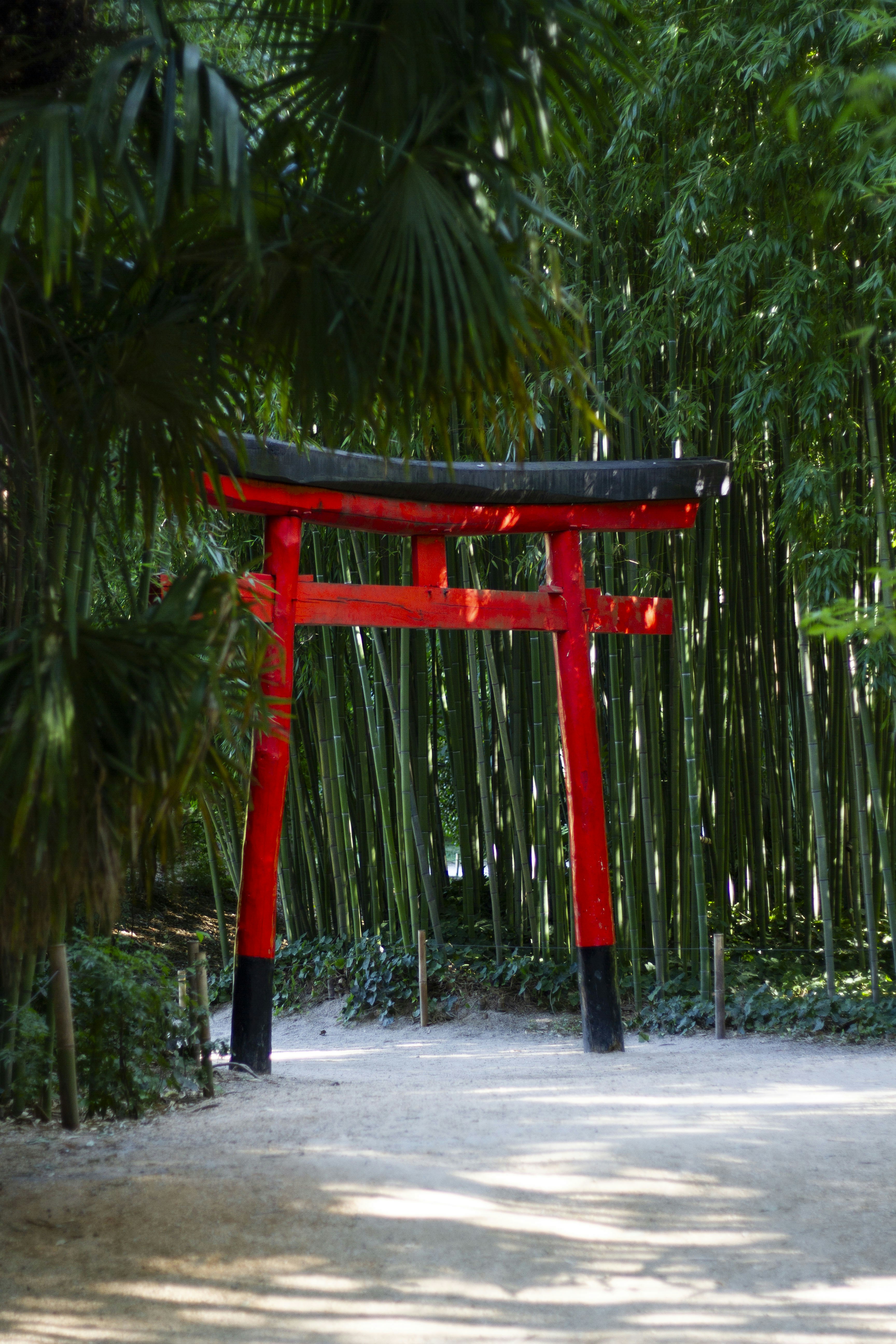 Photo by Ivan with Canon EOS 7D