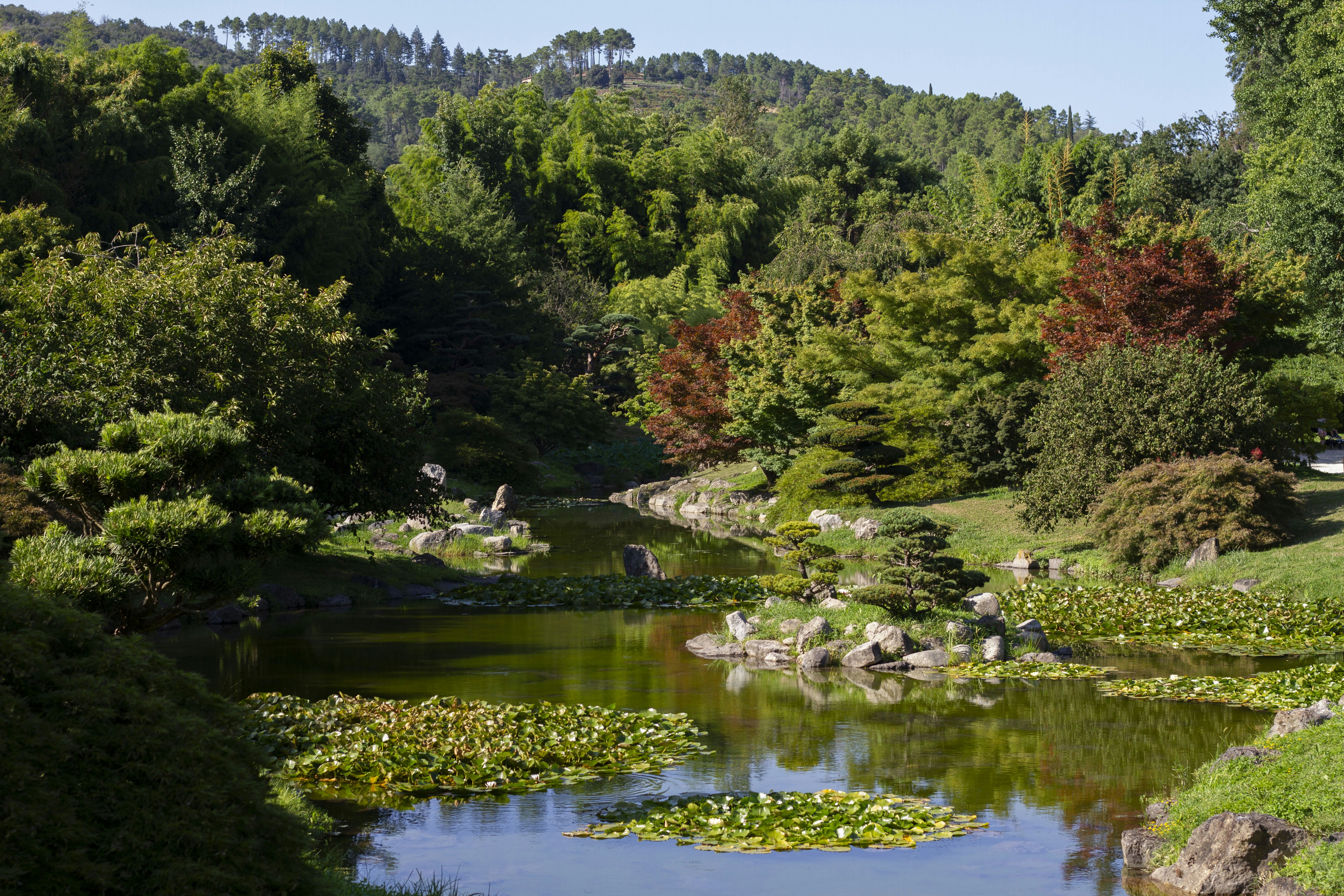 Photo by Ivan with Canon EOS 7D