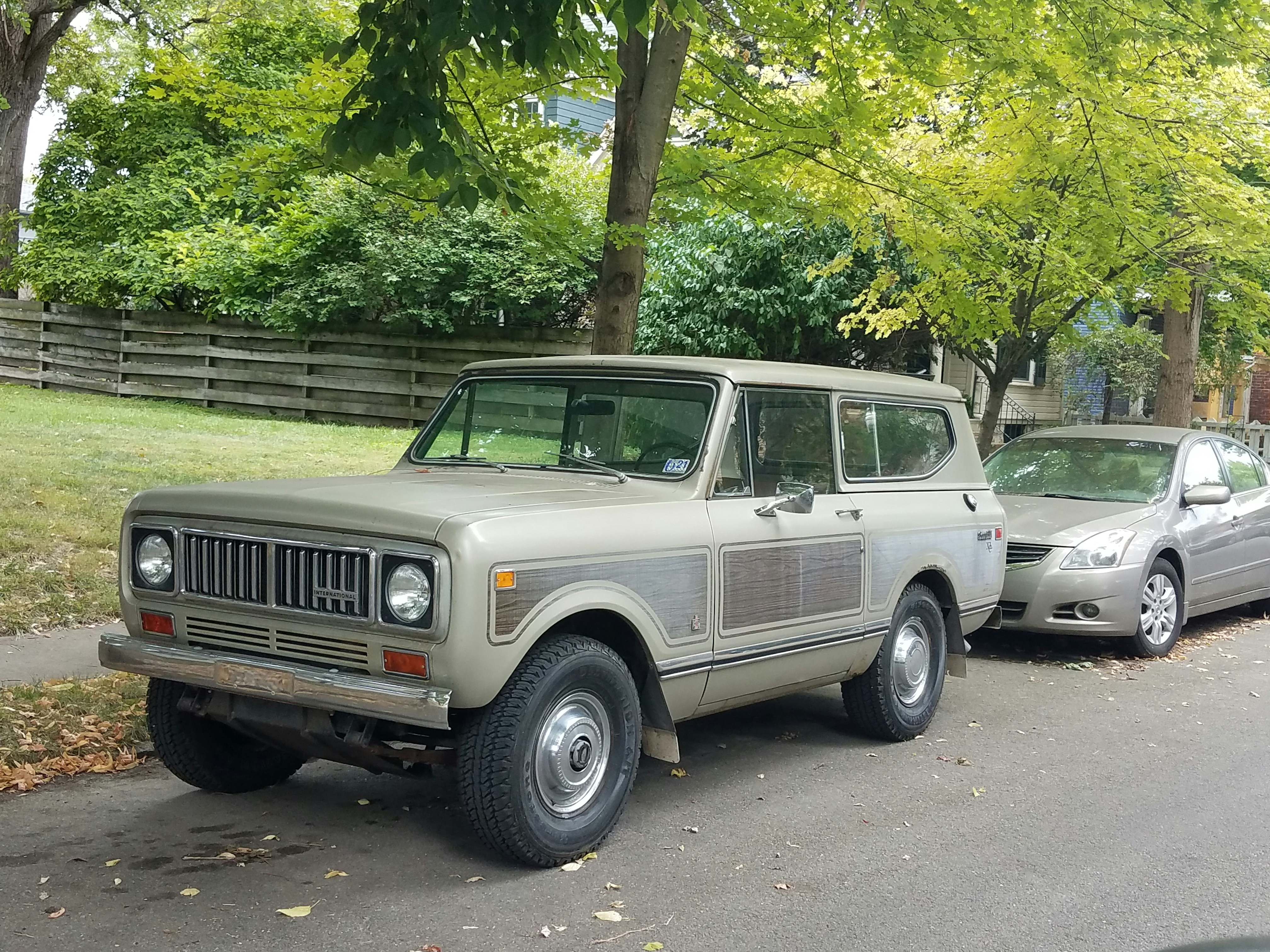 Beige vintage off-roader tucked under a leafy canopy