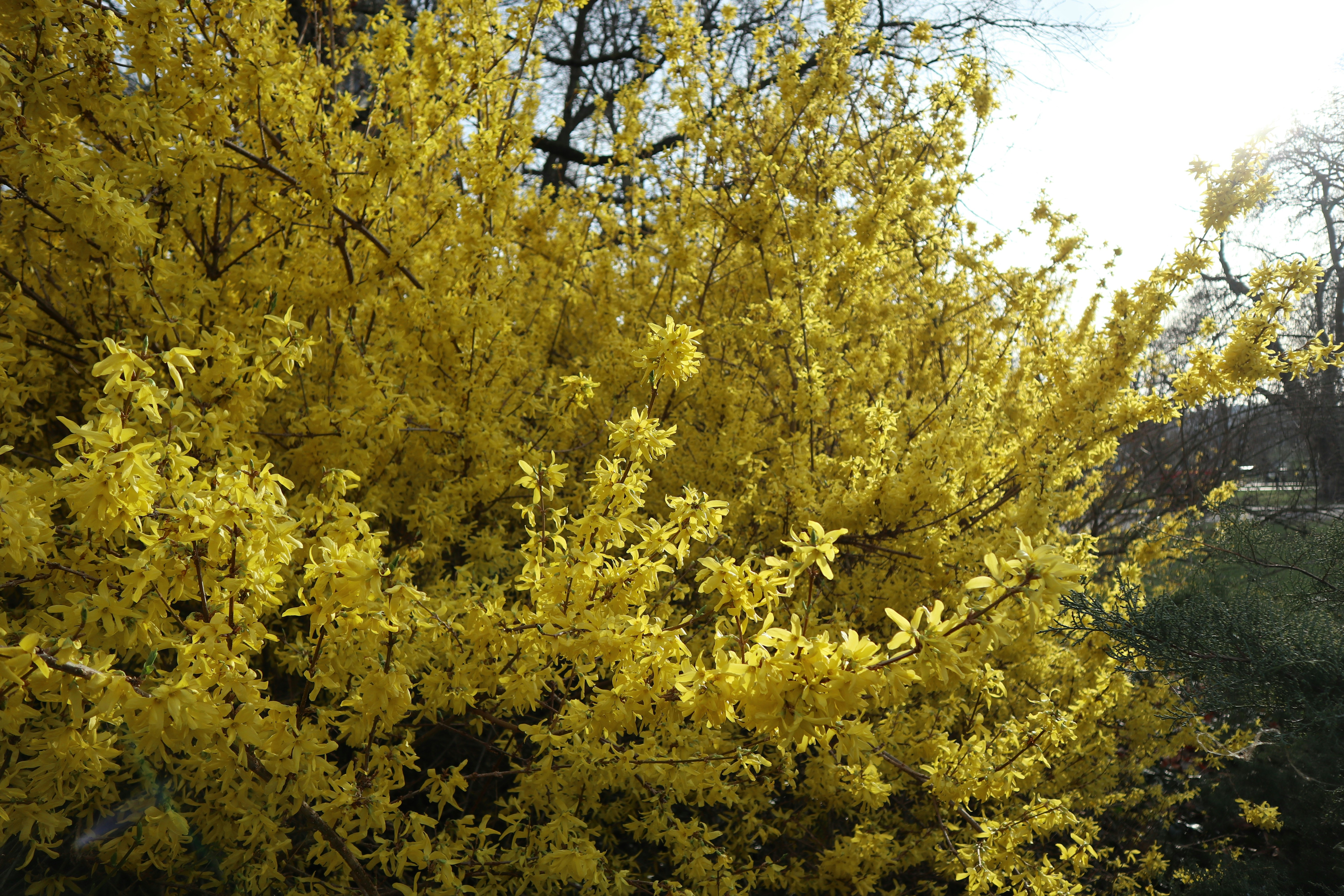 Photo by Balint Miko with Canon EOS M100