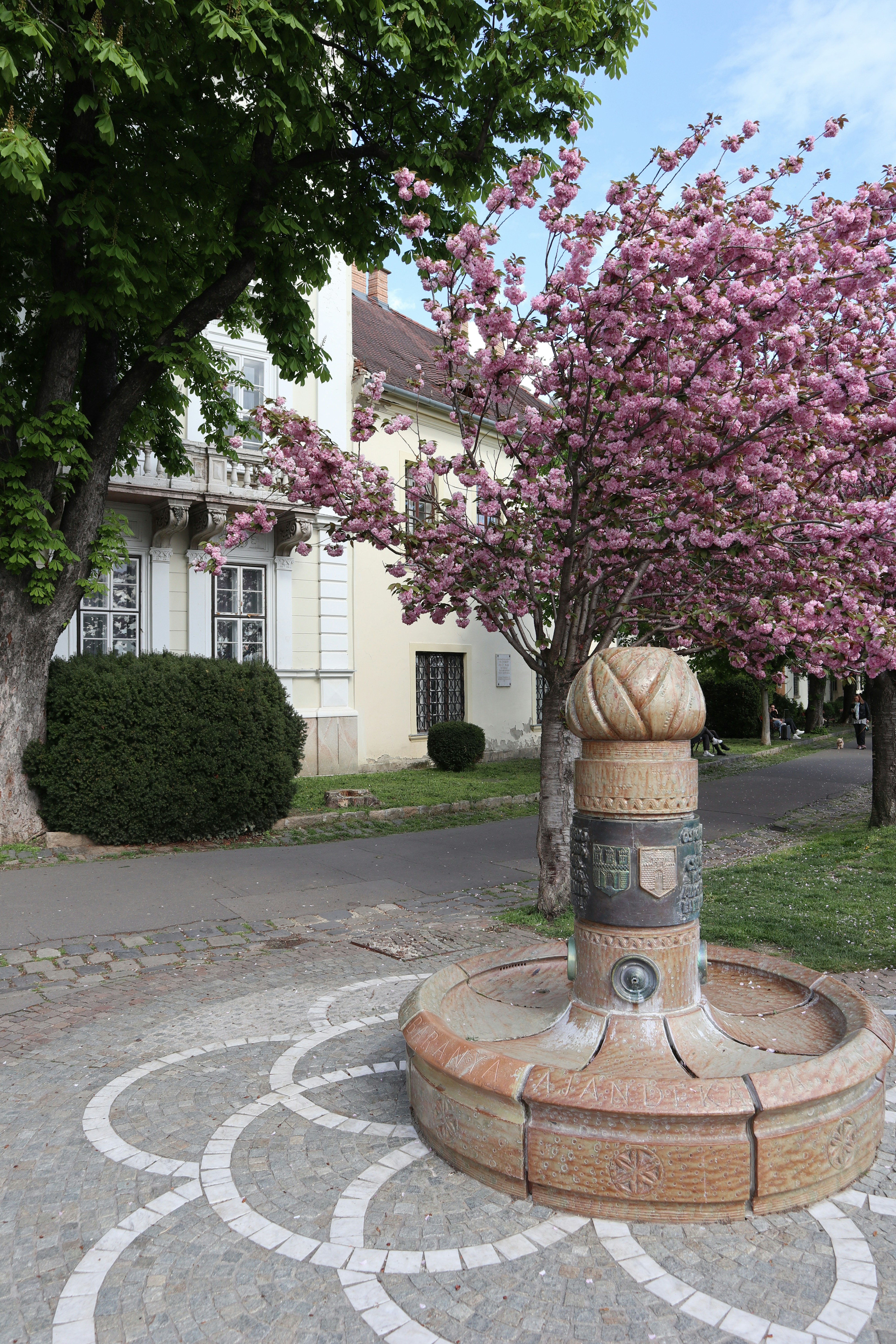 Petal Crowned Fountain by a Quiet Street