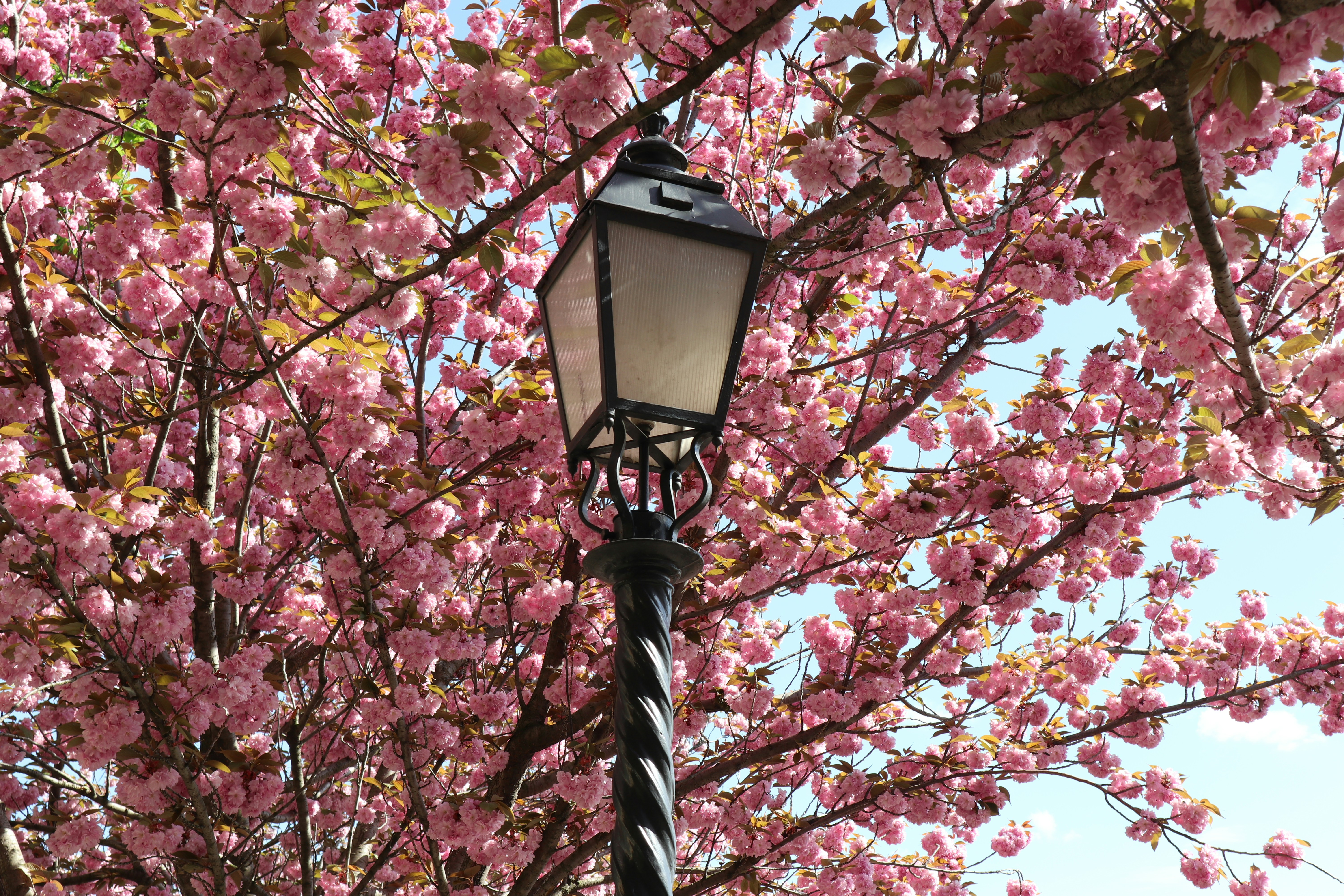 Photo by Balint Miko with Canon EOS M100