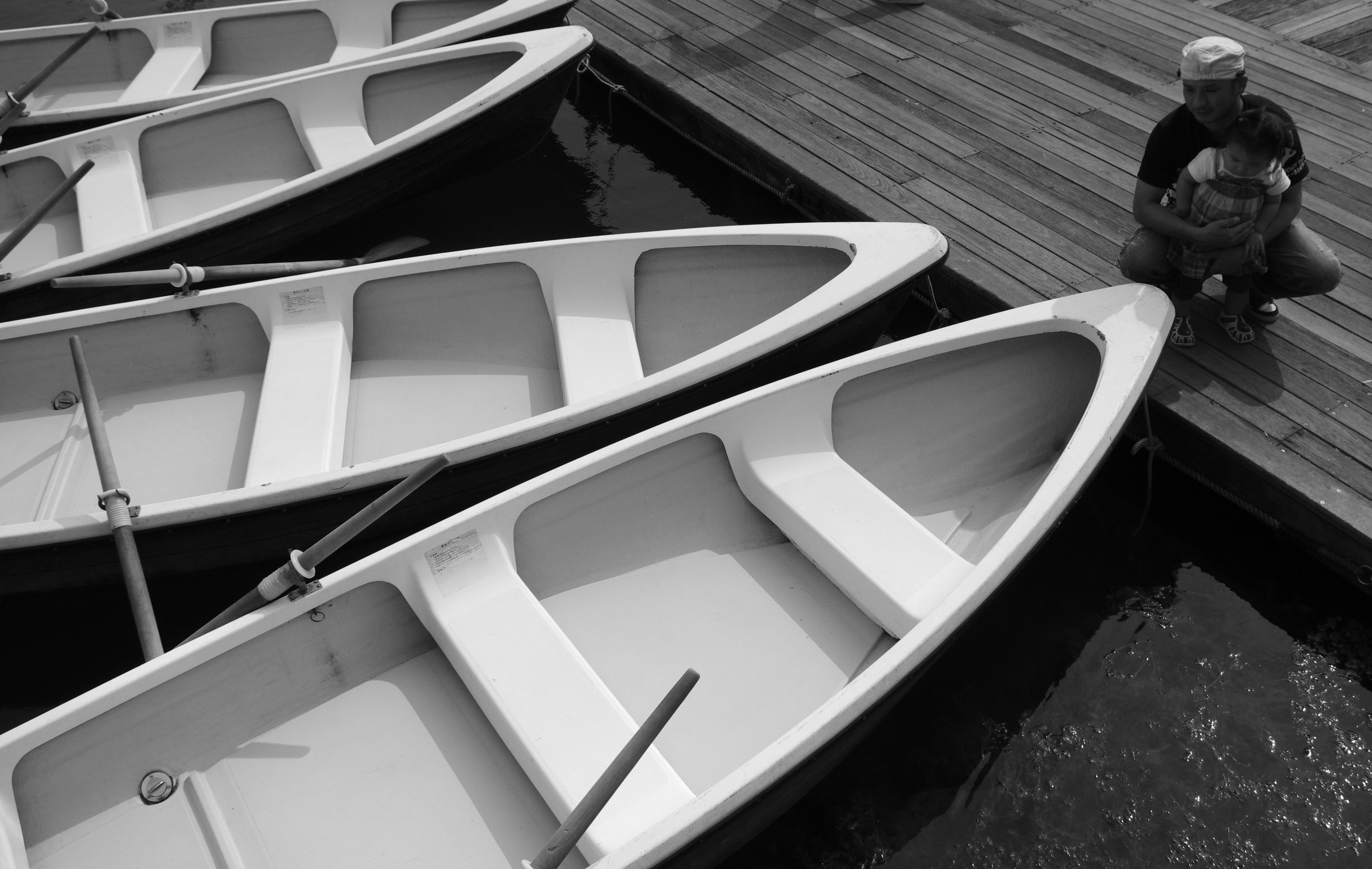 Dockside Reverie: Boats and Companionship on a Quiet Pier