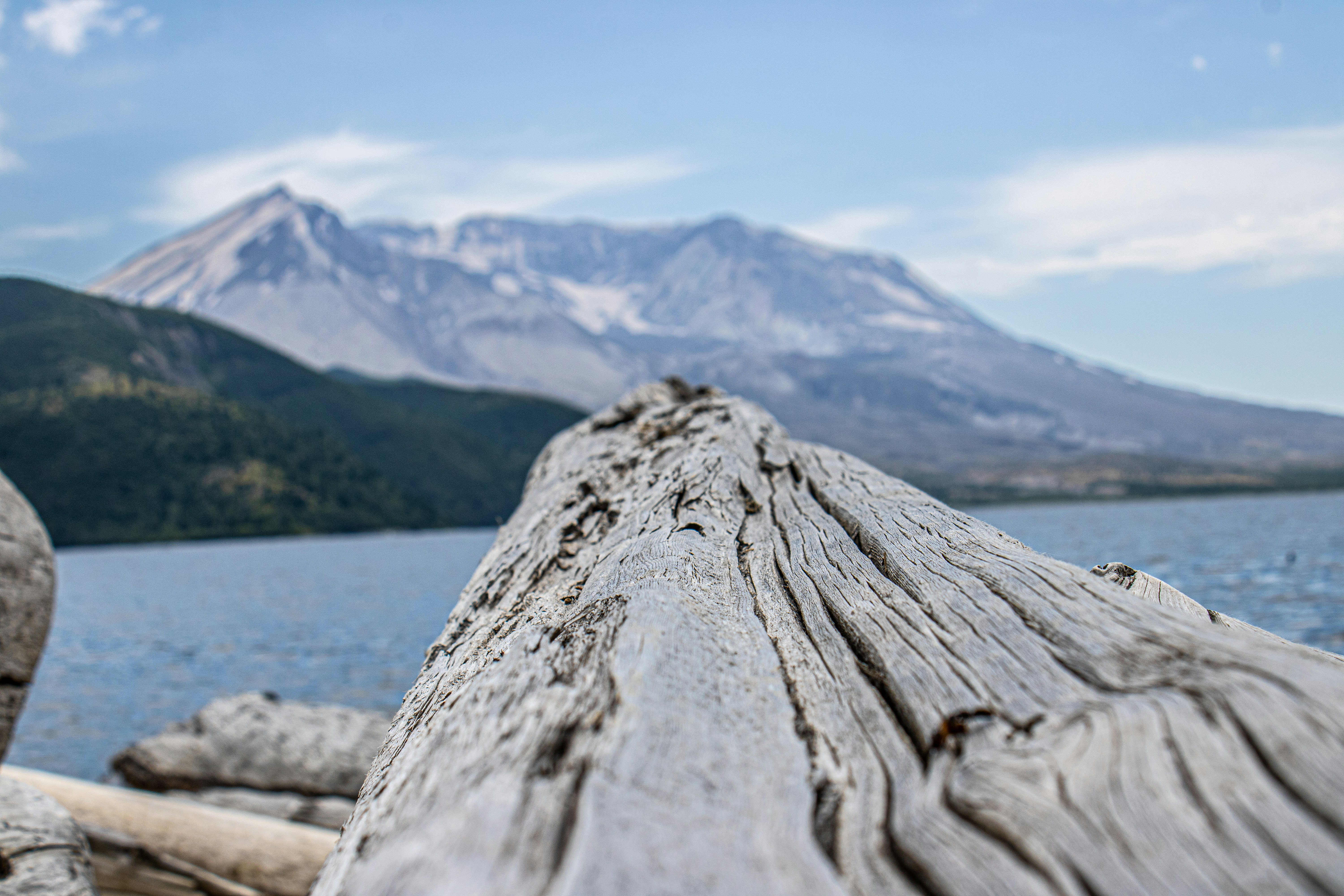 Weathered Driftwood Framing a Snow-Dusted Mountain Lake