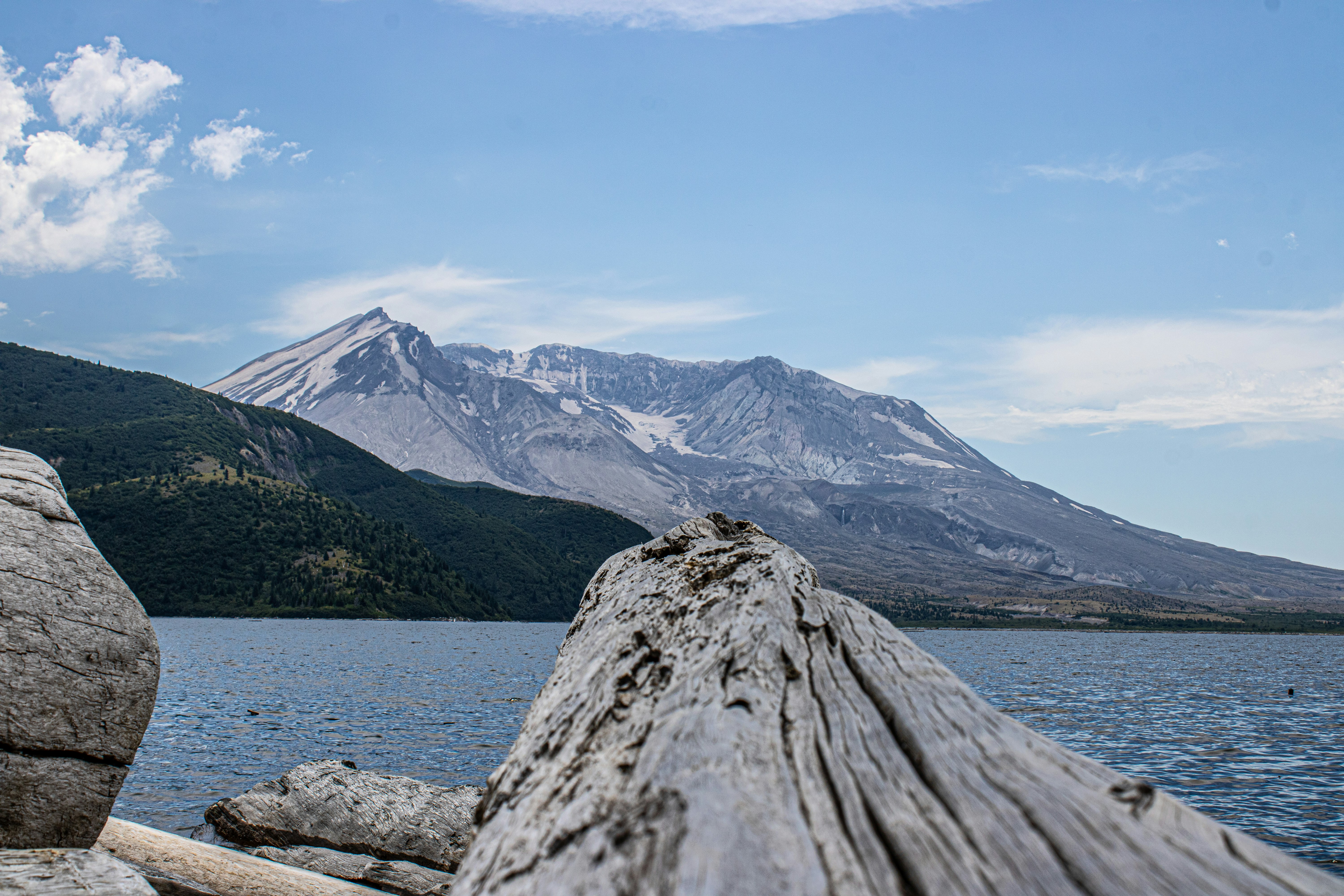 Weathered Driftwood Anchors a Quiet Lake Against Snow-Capped Peaks