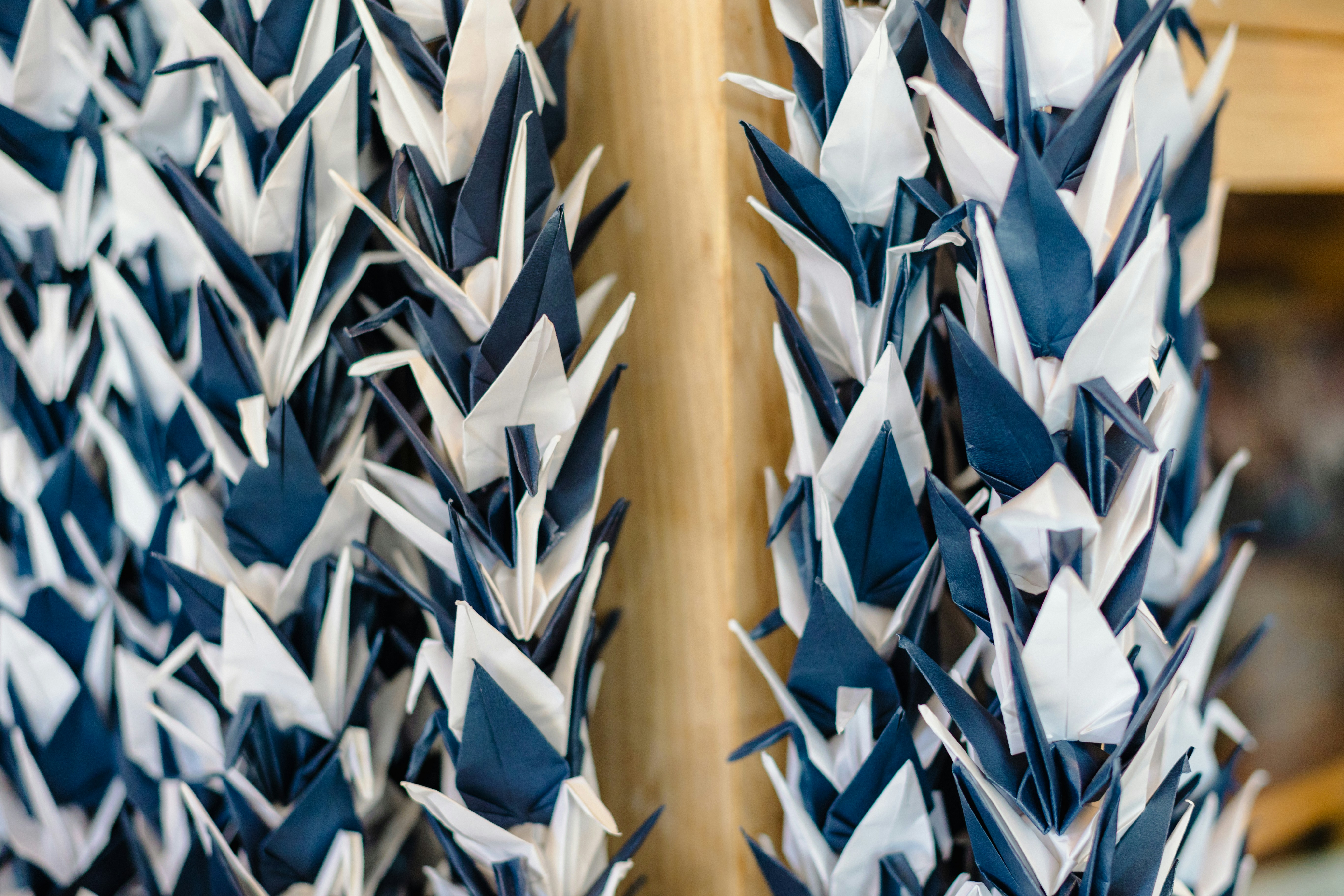 Crane Columns: Blue and White Origami Framed by a Wooden Spine