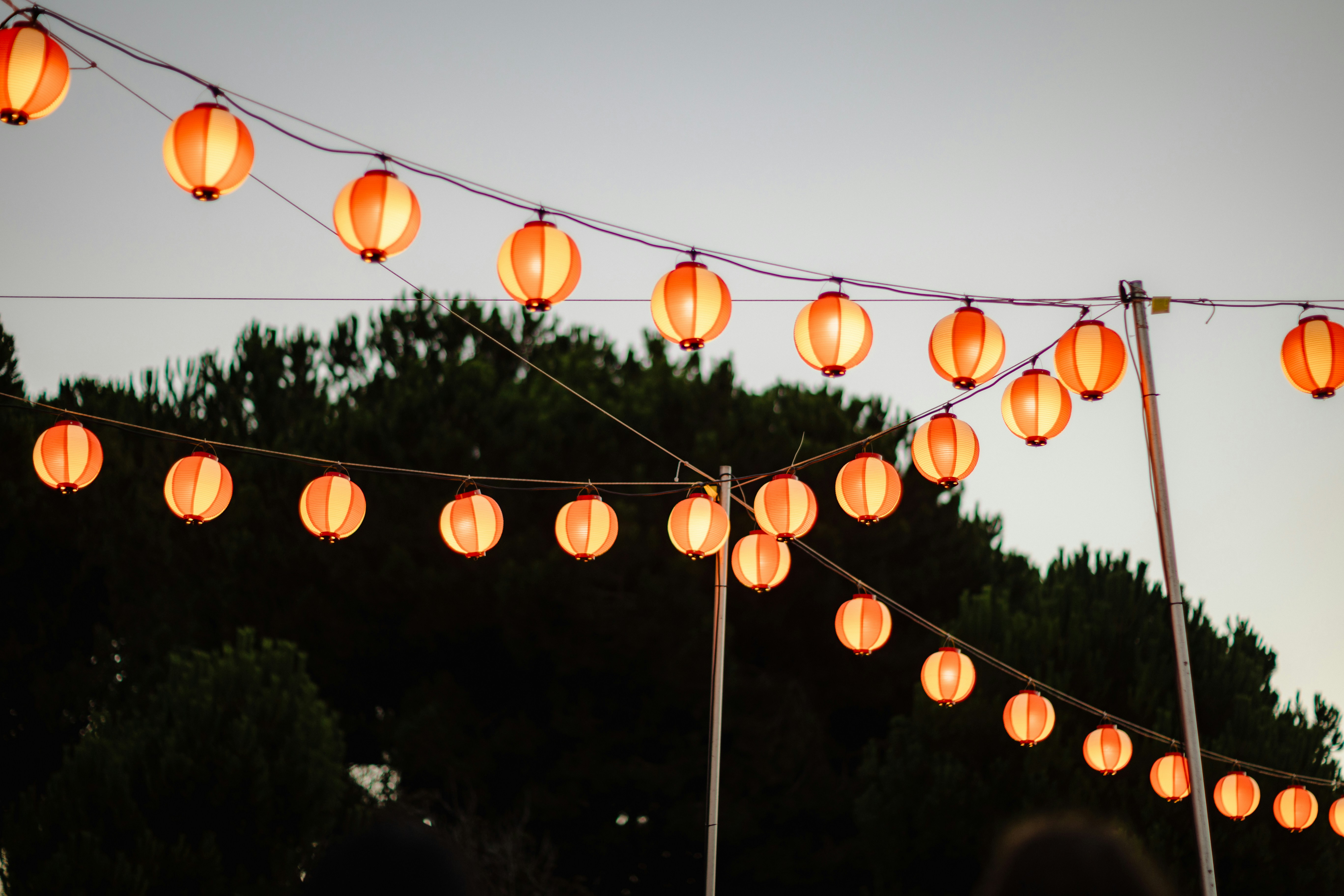 A string of paper lanterns hanging from a line photo – Free Lamp Image ...