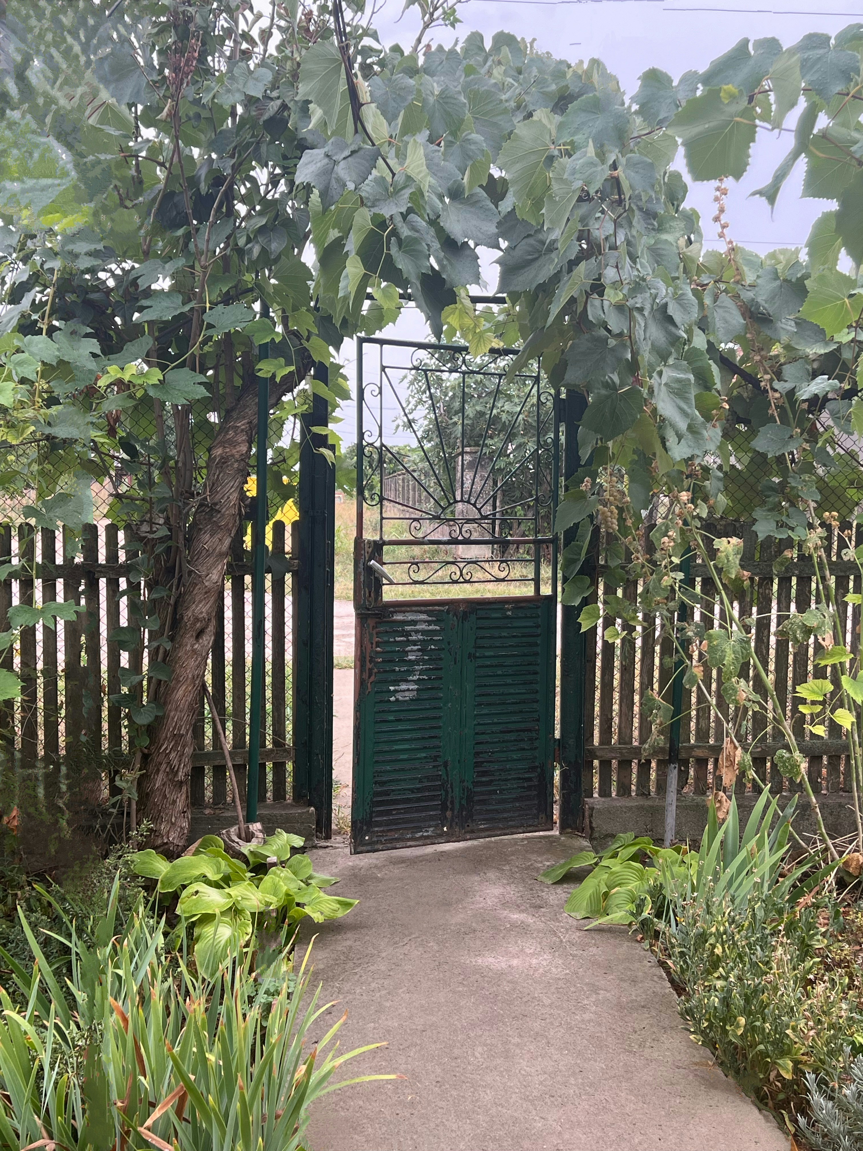 Gateway to Tranquility: Nature's Embrace