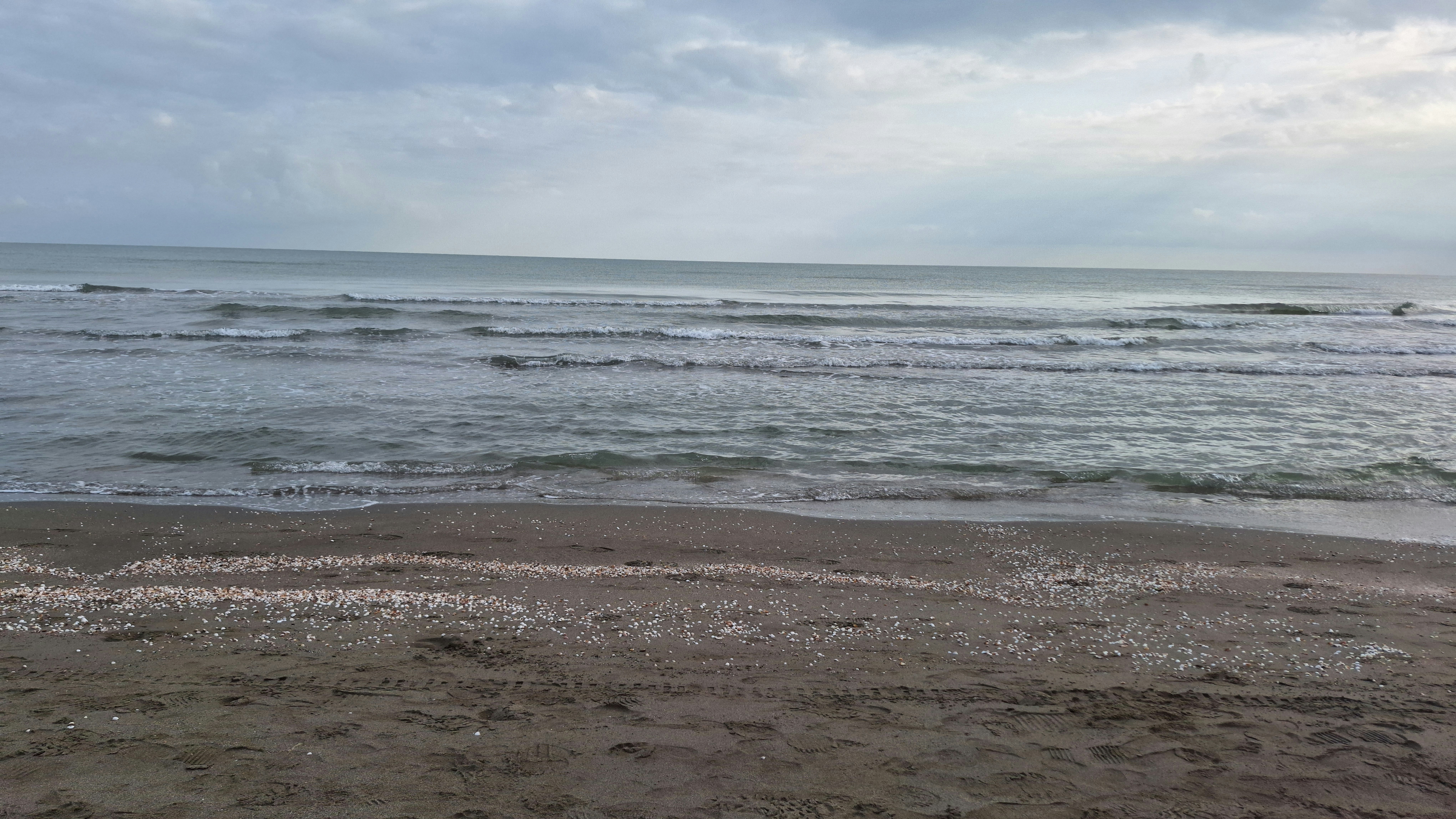 Calm beach scene with wet sand, gentle surf, and scattered shells stretching toward a distant, cloud-covered horizon.