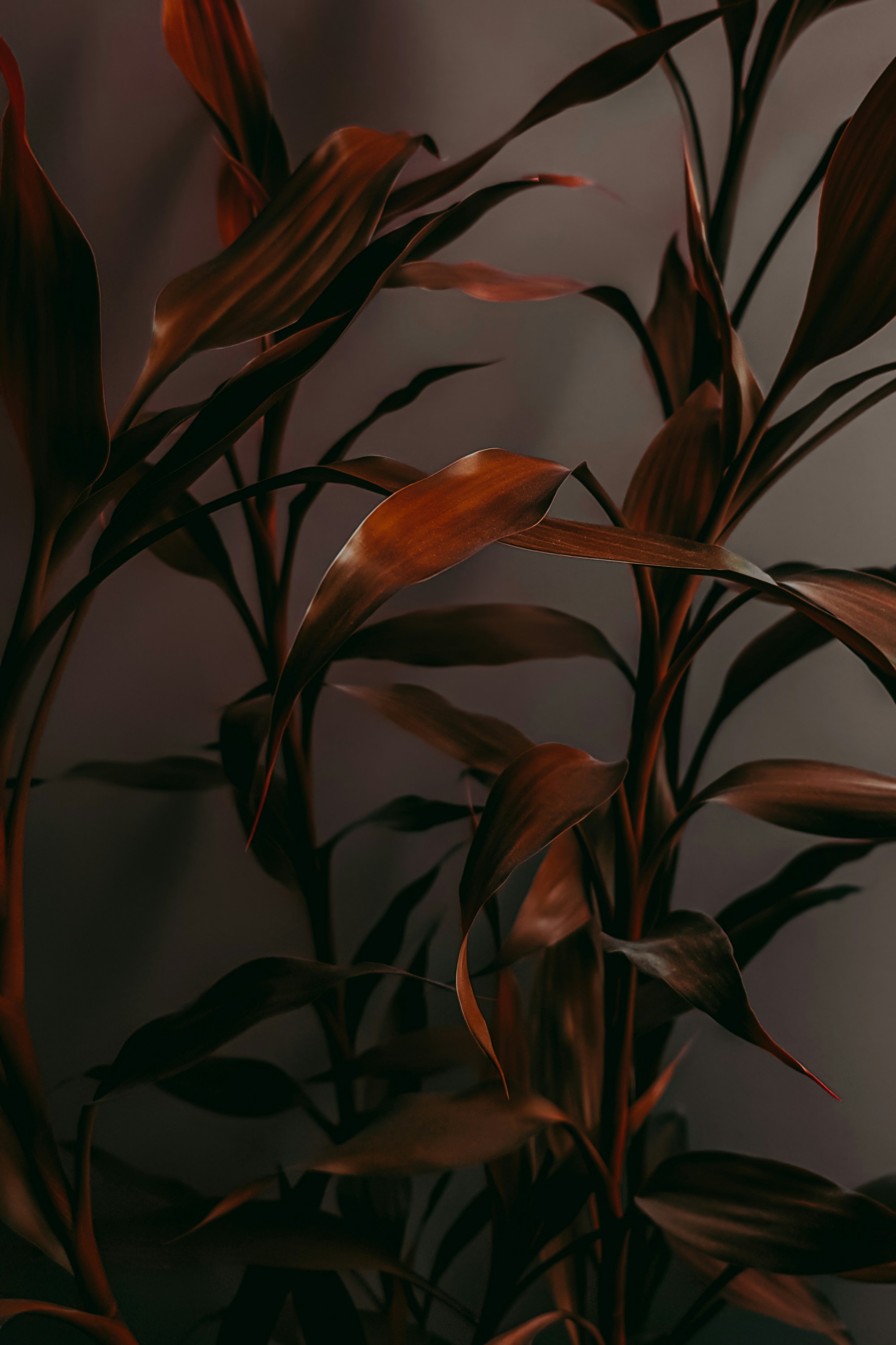 Alireza Valizadeh (@alirezavalizadeh) | Komunitas Foto Unsplash