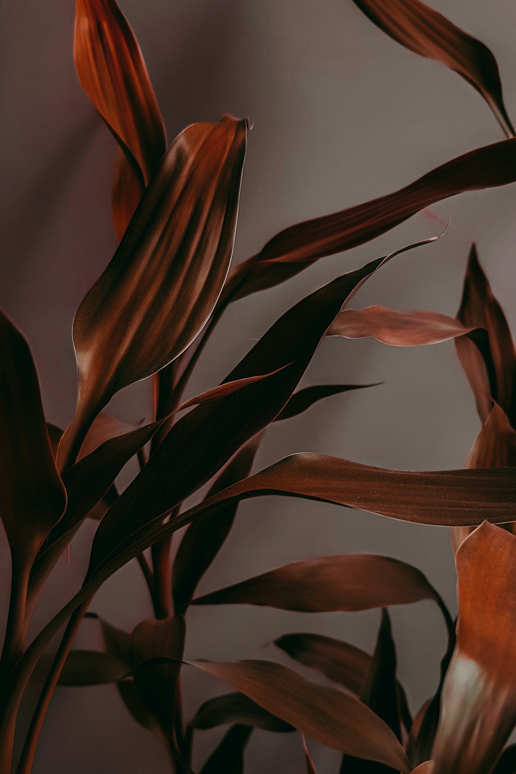 Alireza Valizadeh (@alirezavalizadeh) | Komunitas Foto Unsplash