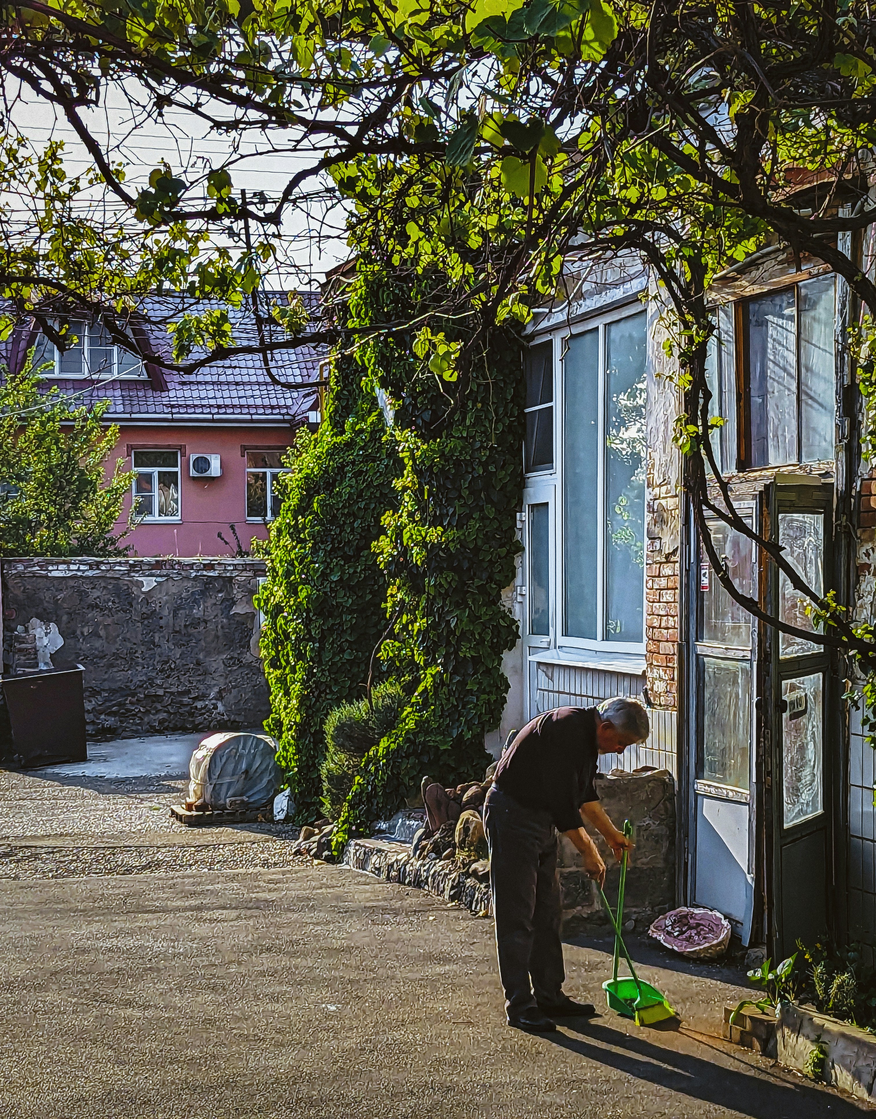 Elderly person sweeping a sunlit courtyard shaded by leafy branches.