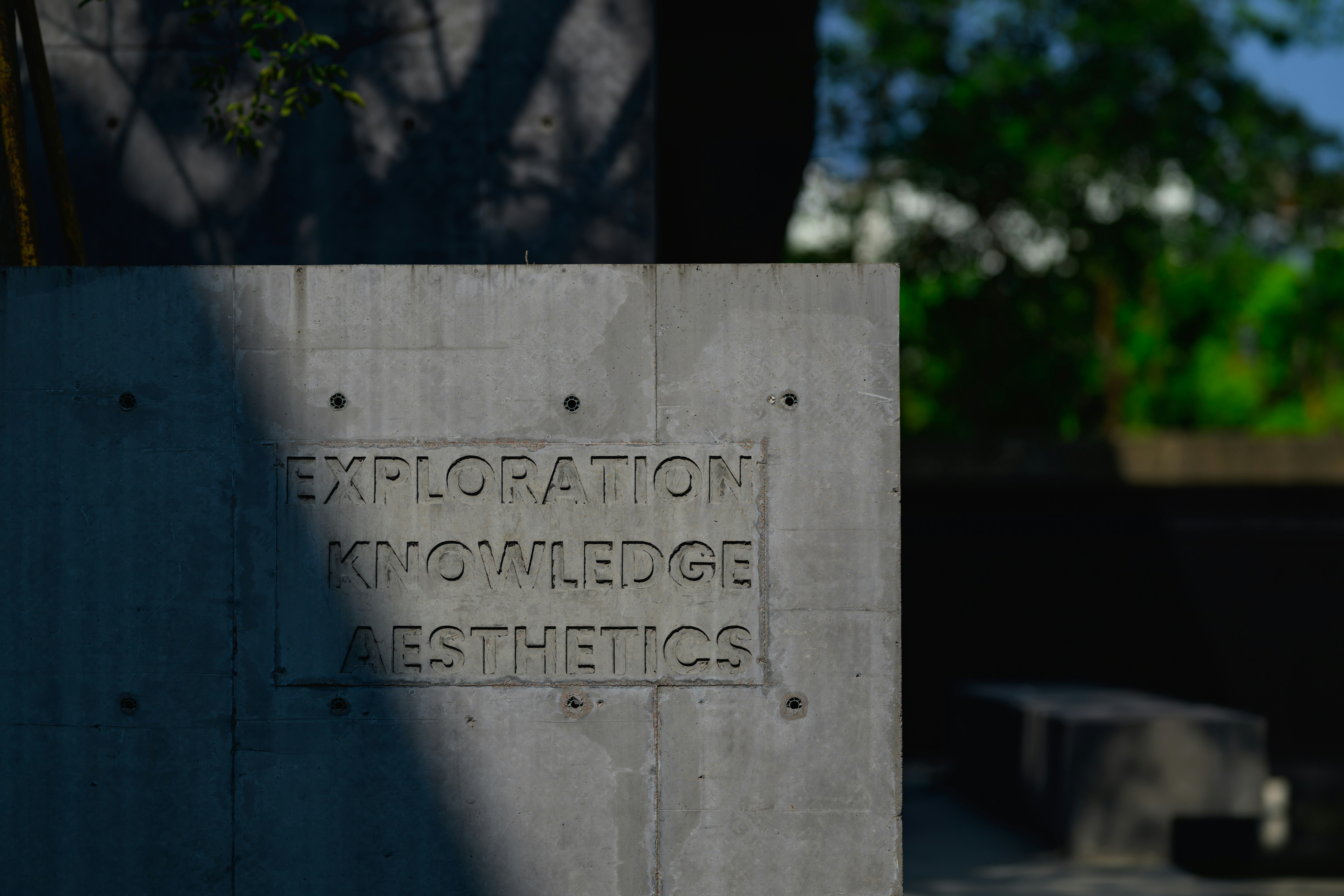 Photo by Declan Sun with Nikon Z8