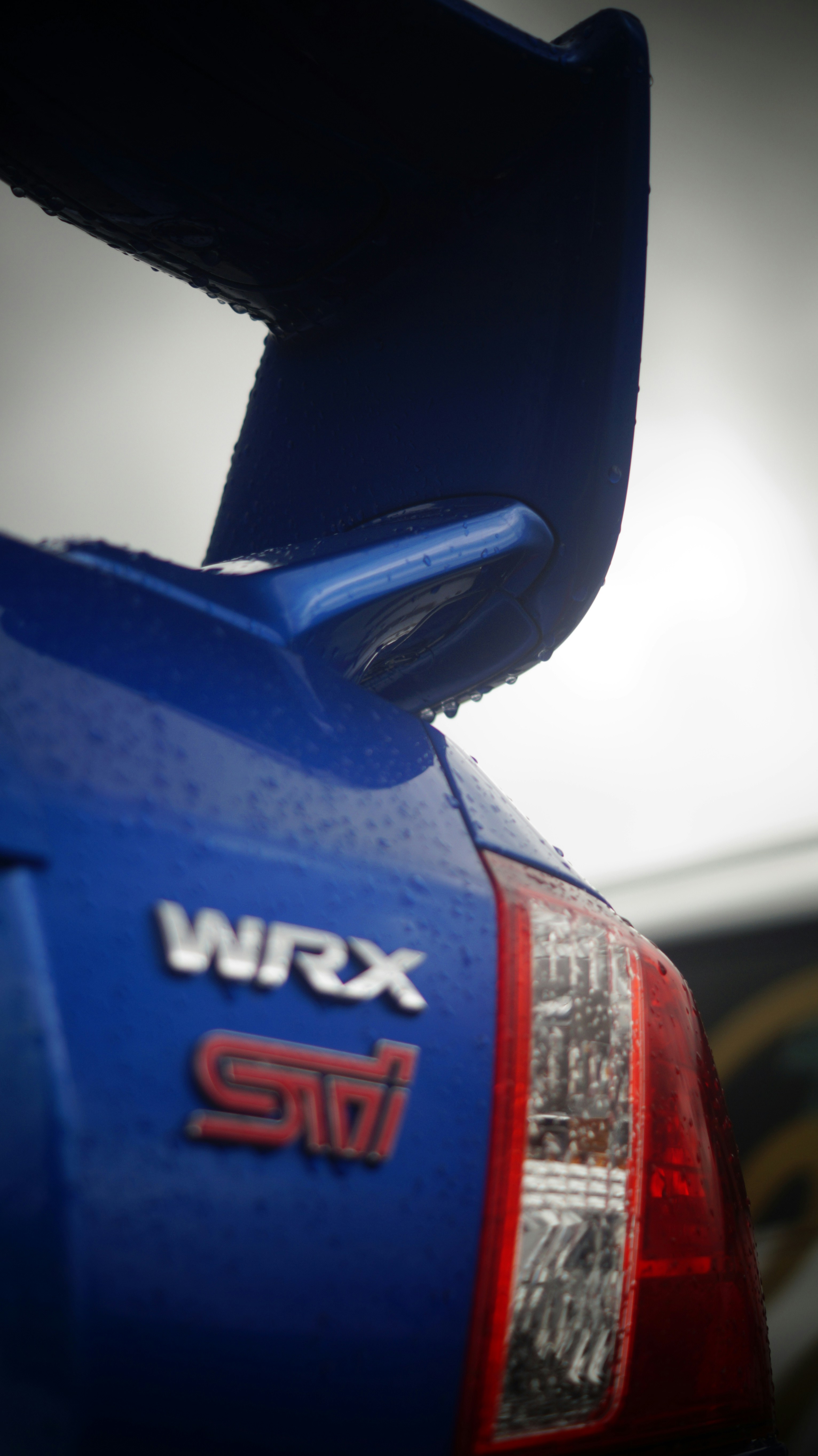 Blue WRX STI badge in sharp focus on a rain-speckled rear panel