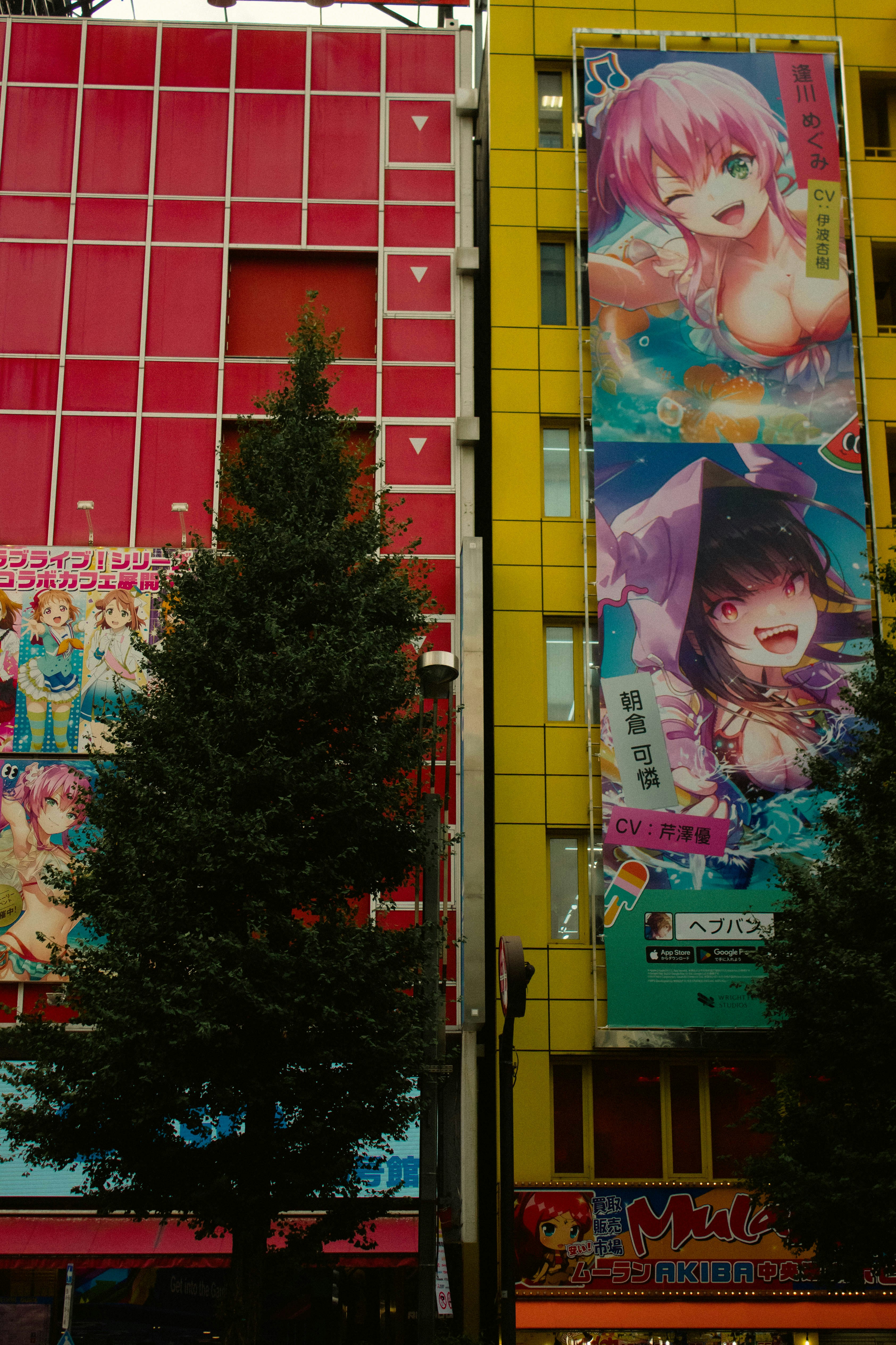 Neon Anime Banners Framing a Color-Blocked Akiba Street