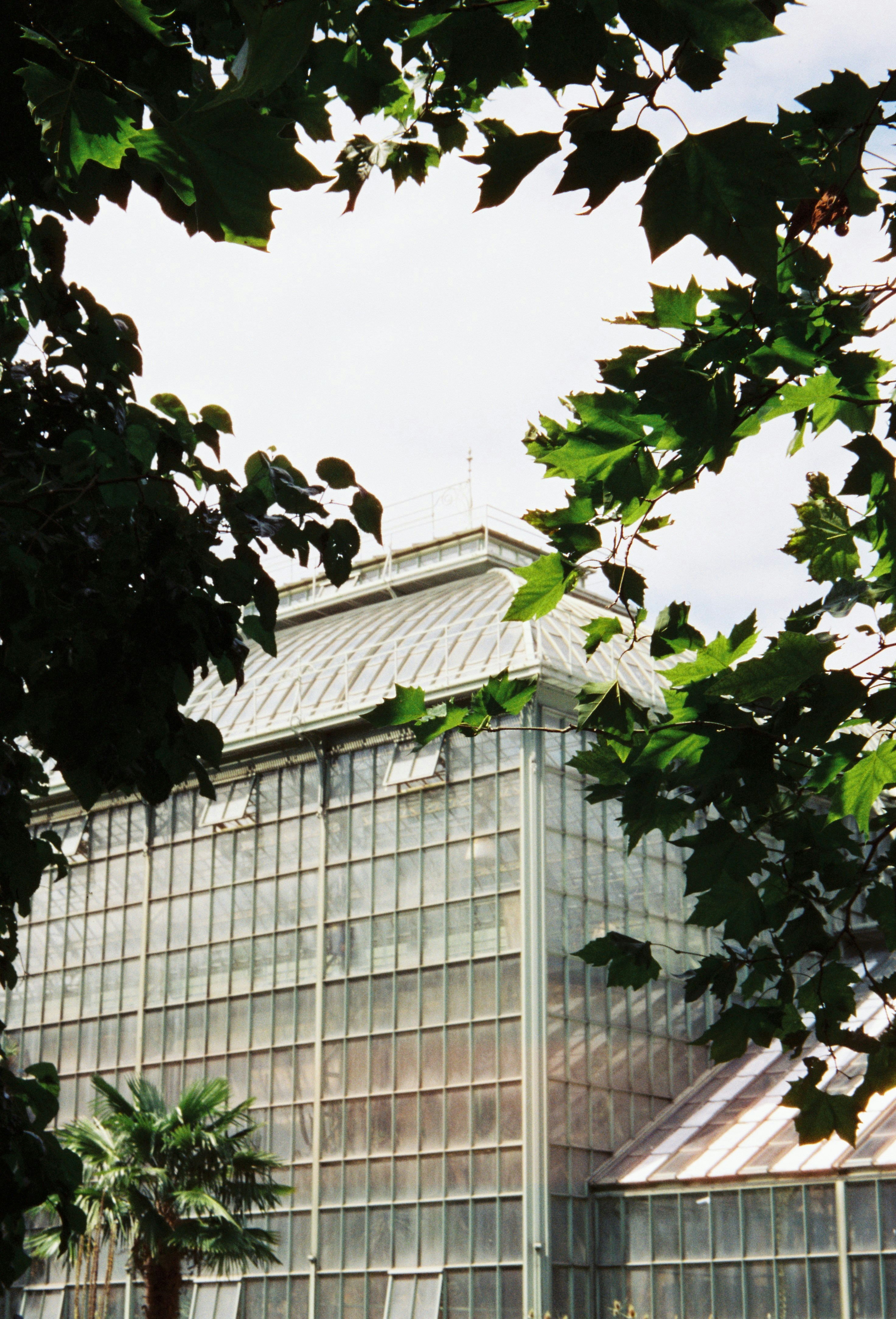 A large glass building surrounded by trees photo – Free Vienna Image on ...