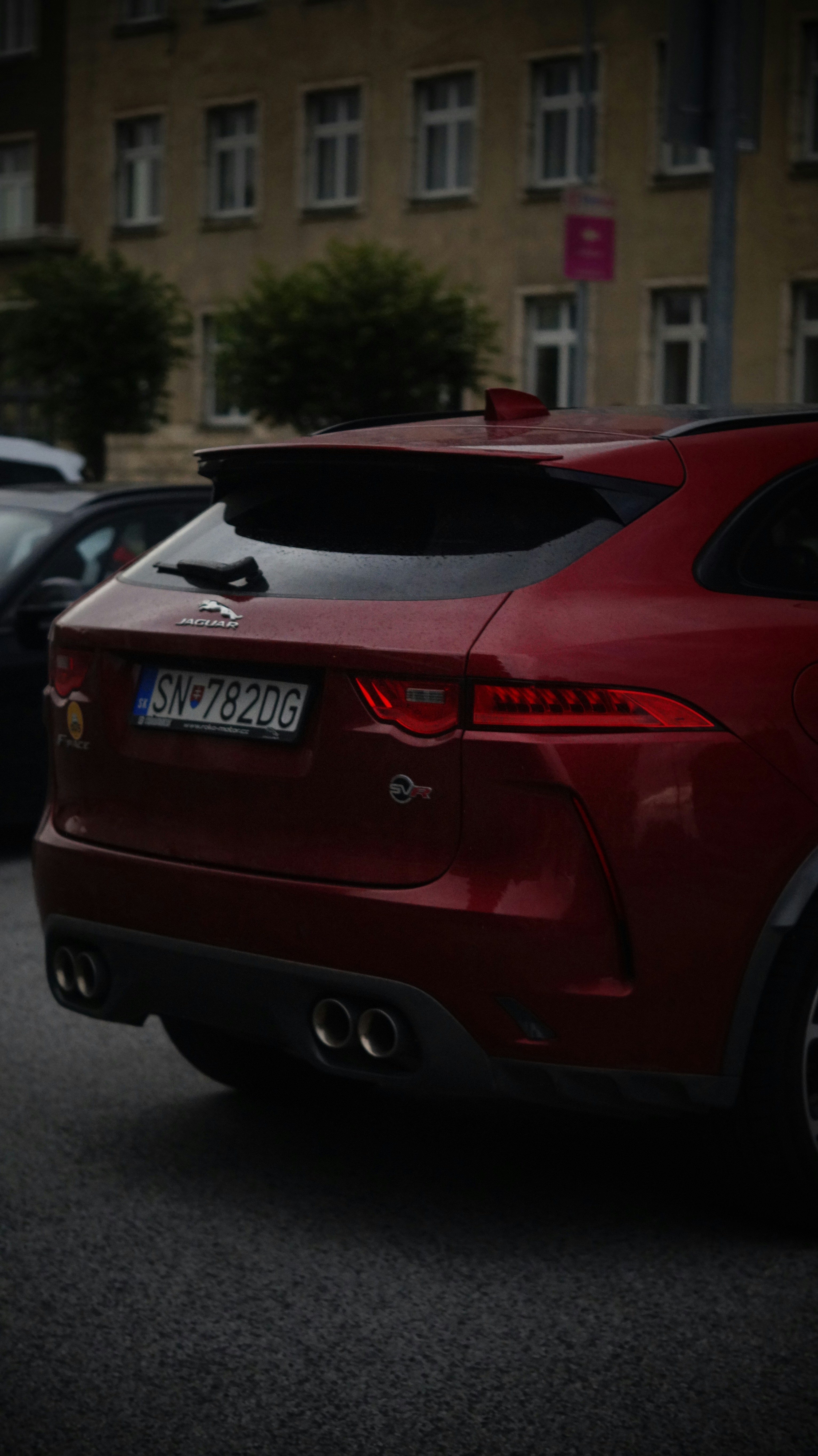 Photo by Mathew Antony with Sony Alpha 58