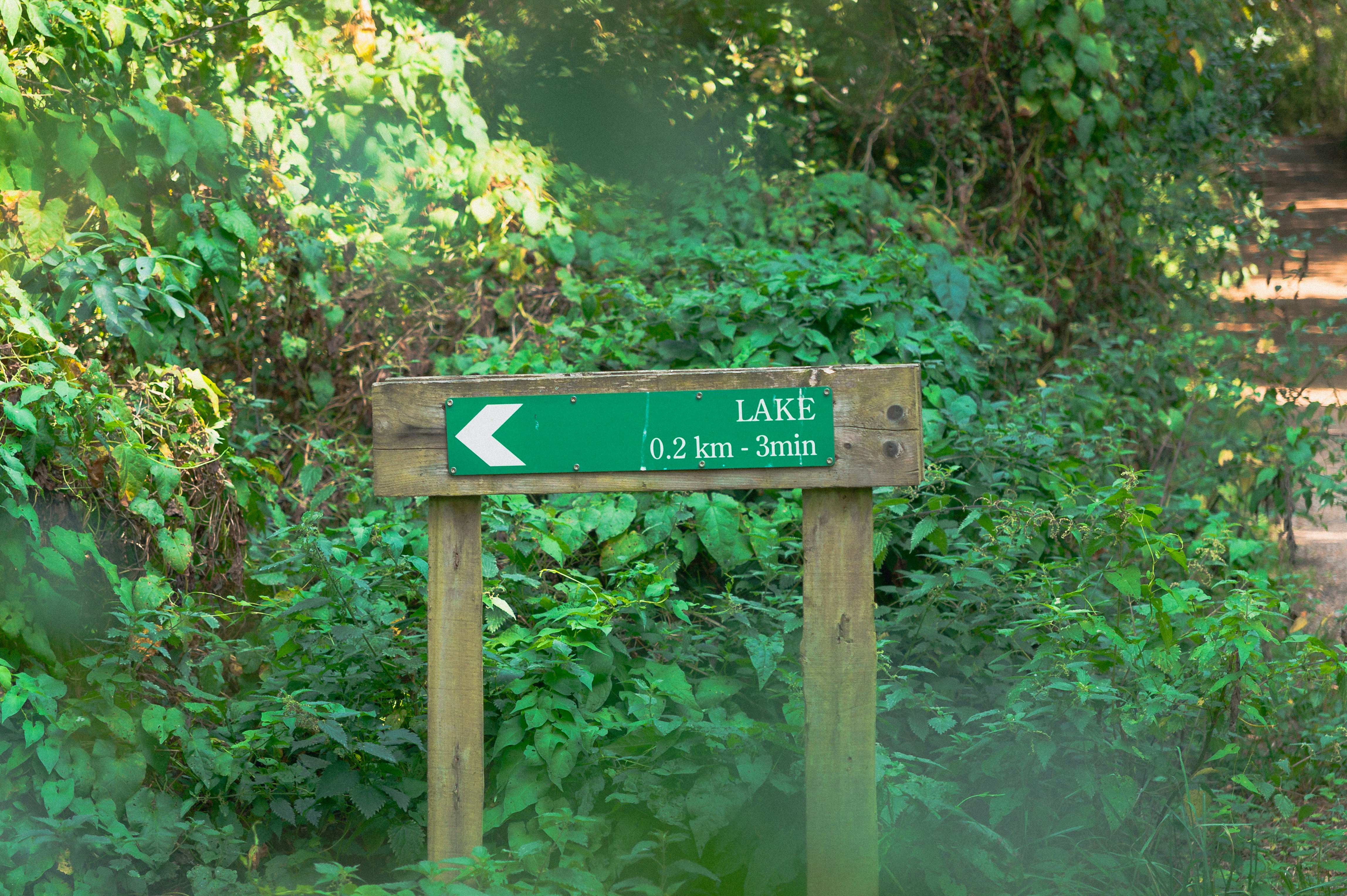 A wooden sign pointing to a trail in the woods photo – Free Colchester ...