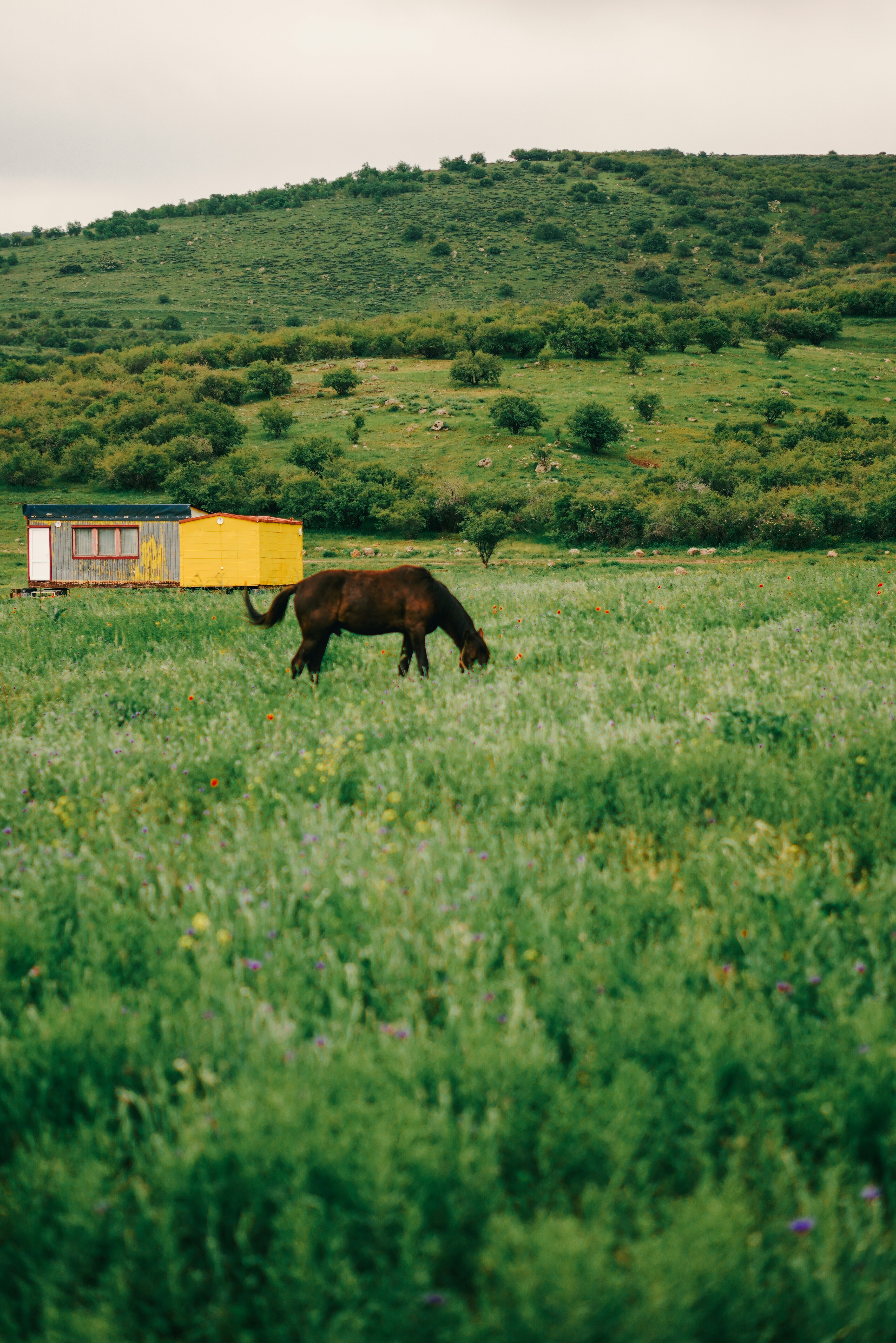 Photo by Shushan Meloyan with Sony Alpha 7R III