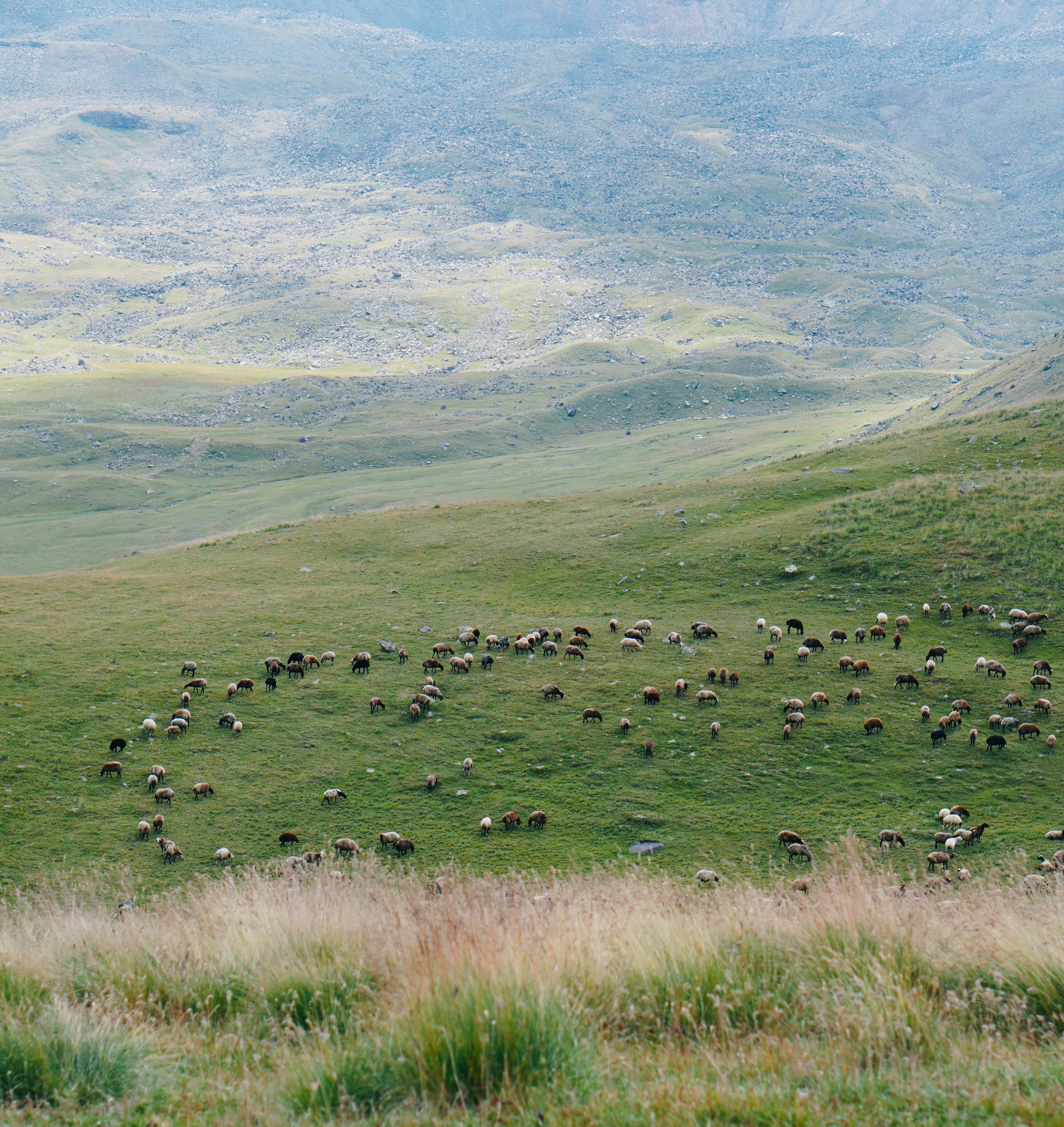 Photo by Shushan Meloyan with Sony Alpha 7R III