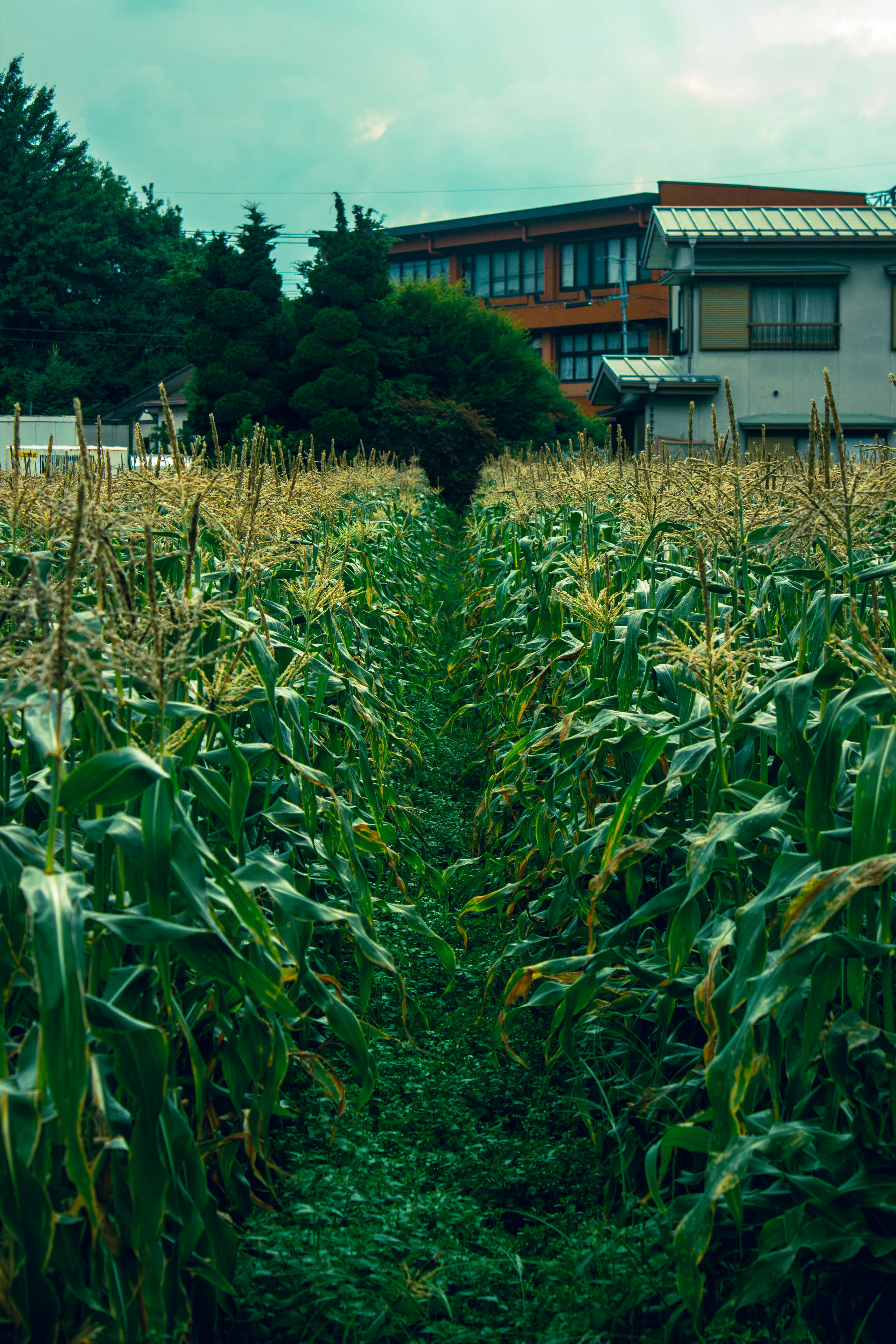 Photo by Anastasia Vikhareva with Canon EOS 600D